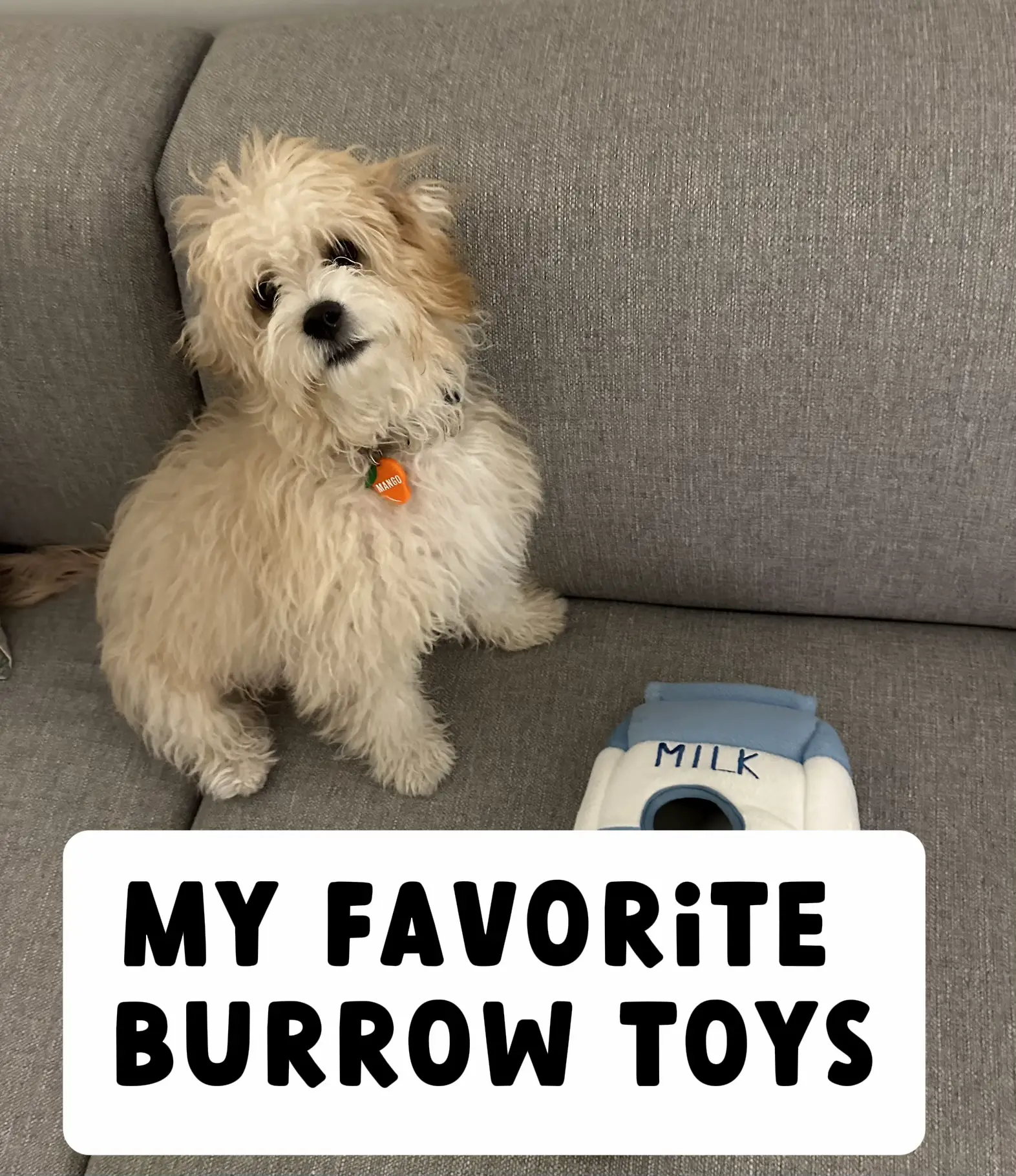My favorite burrow toys | Gallery posted by Mango 🥭 | Lemon8