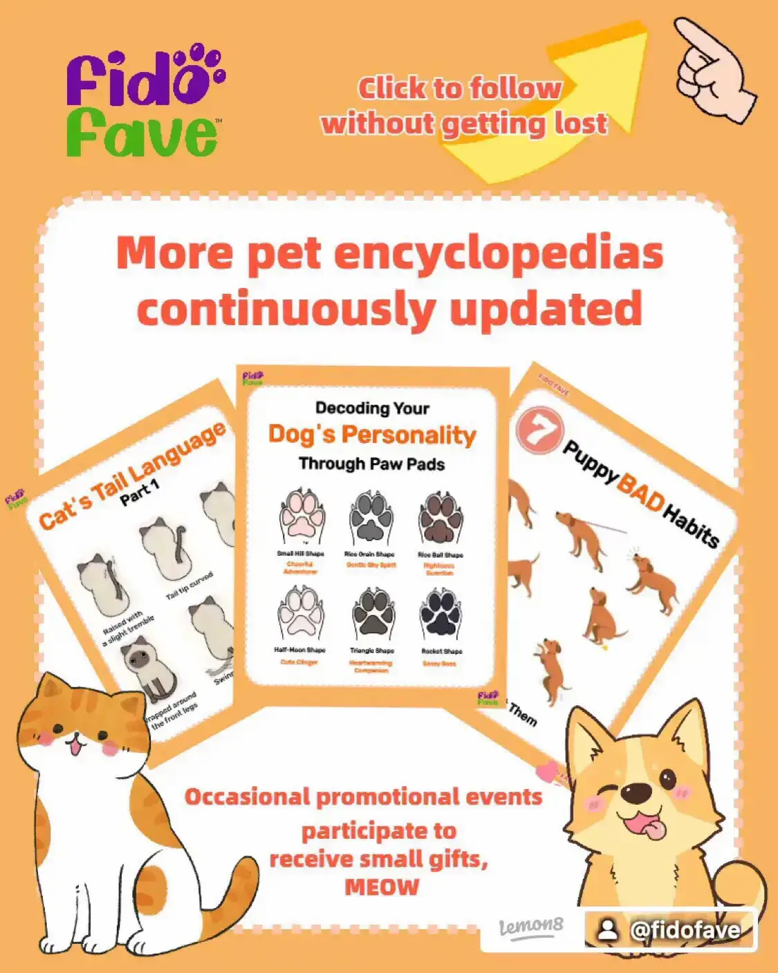 A Guide to Doggie Delight with Petting Techniques | Gallery posted by Fido Fave | Lemon8