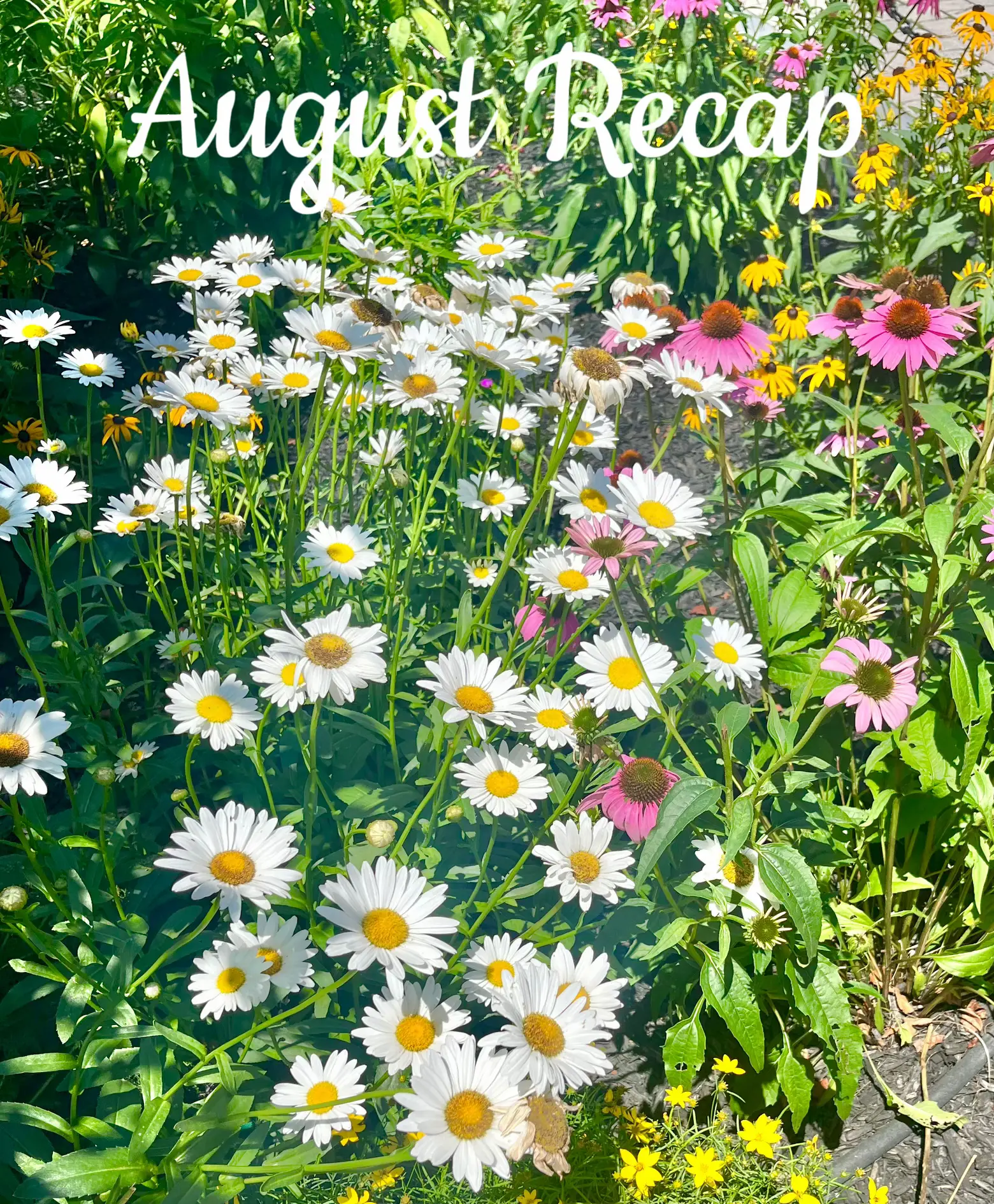 August Recap | Gallery posted by Emily | Lemon8