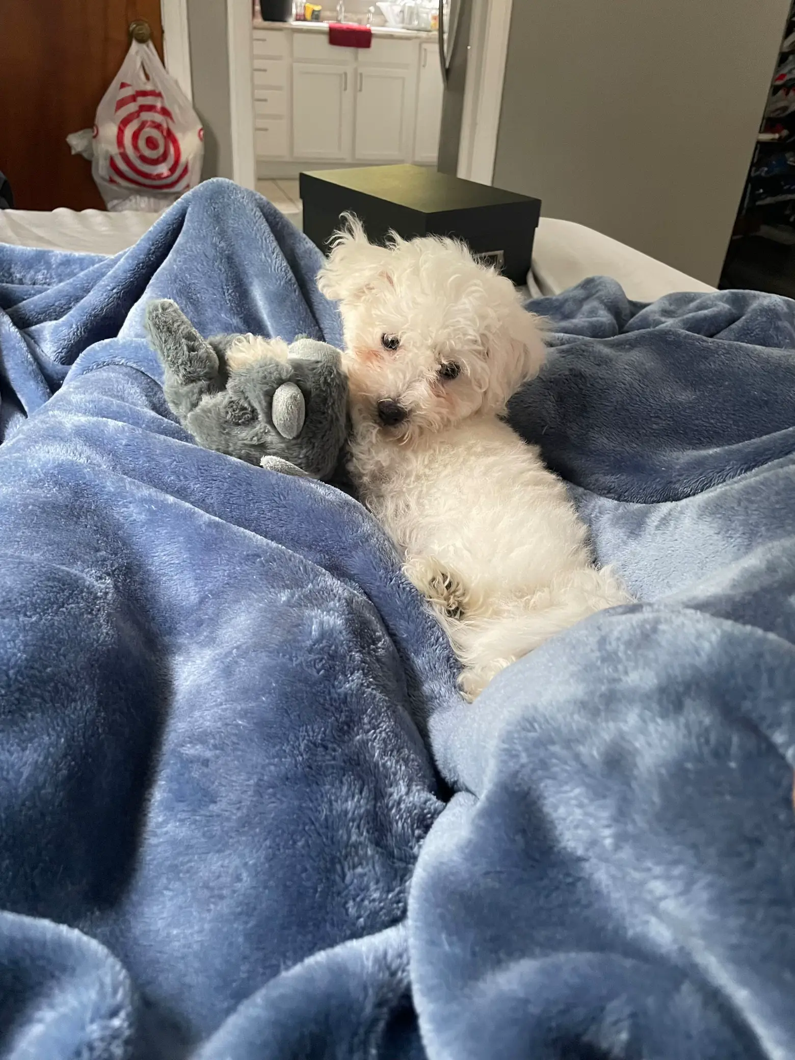 Welcome mercedes | Gallery posted by Jewel Thomas | Lemon8