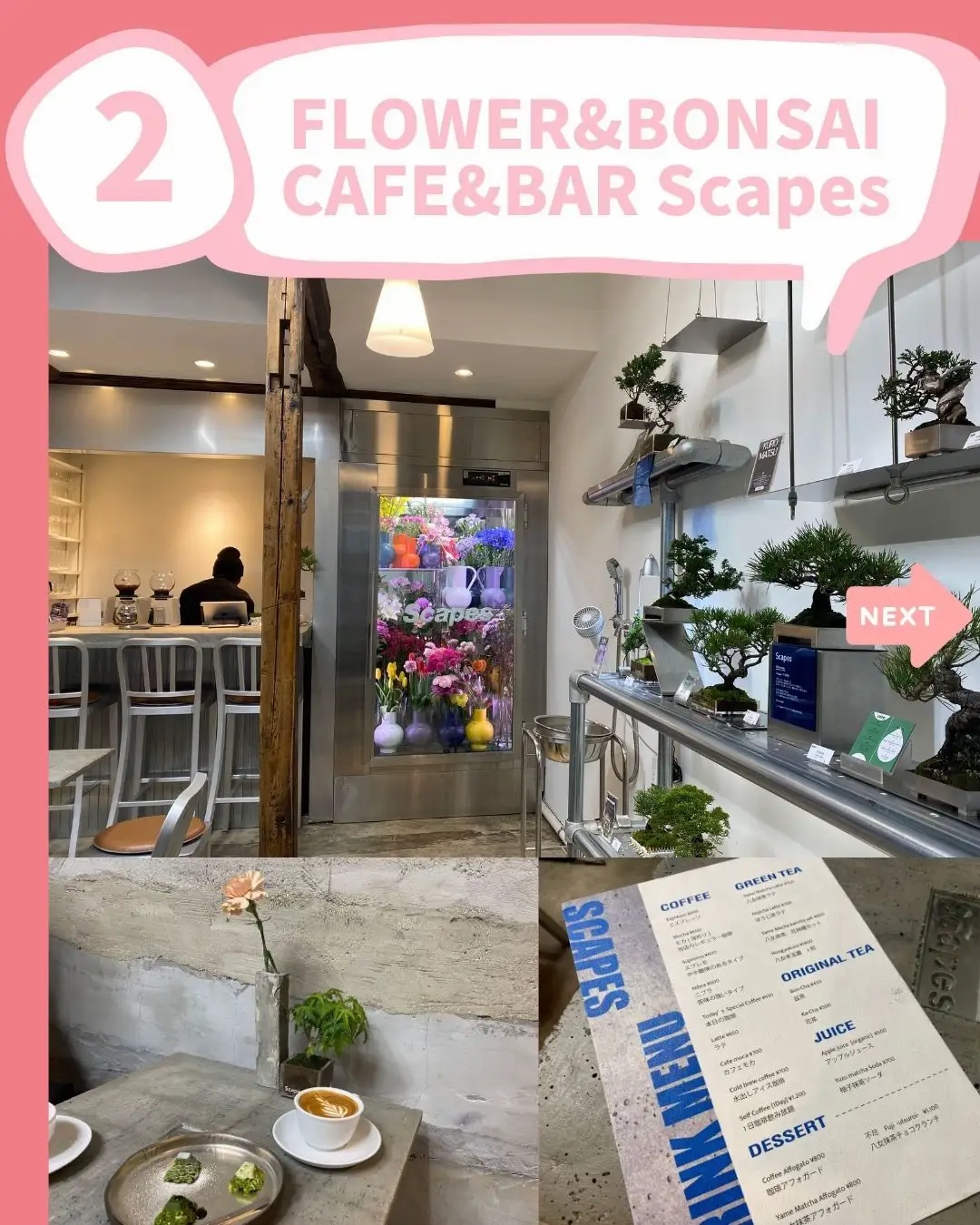 \福岡のデートで行きたいフラワーカフェ🥰／ | FukuokaBフクビー|福岡が投稿したフォトブック | Lemon8