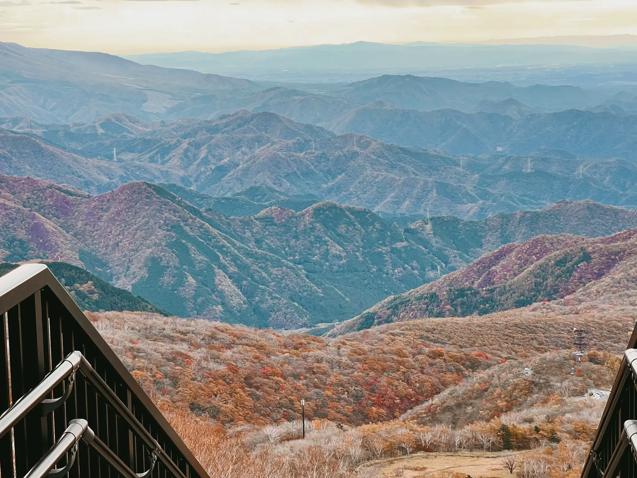 พูดถึงใบไม้ร่วงโทชิกิ นิคโกะ | แกลเลอรีที่โพสต์โดย Aki🫎 | Lemon8