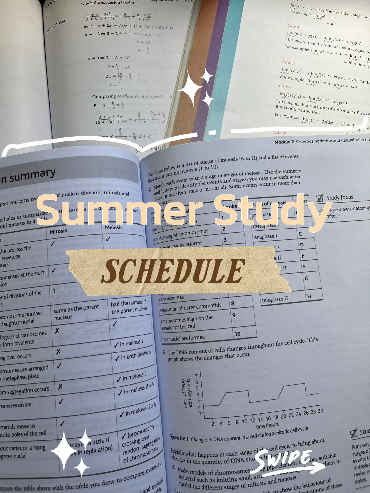 Easy Summer Study Schedule 📚 | Gallery posted by Ari | Lemon8