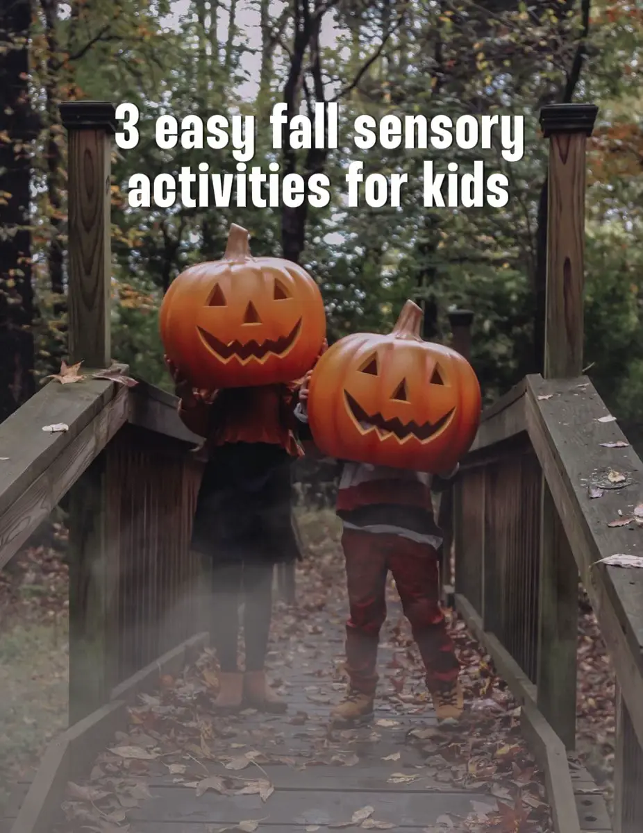 3 easy fall sensory activities for kids | Gallery posted by Liv | Lemon8
