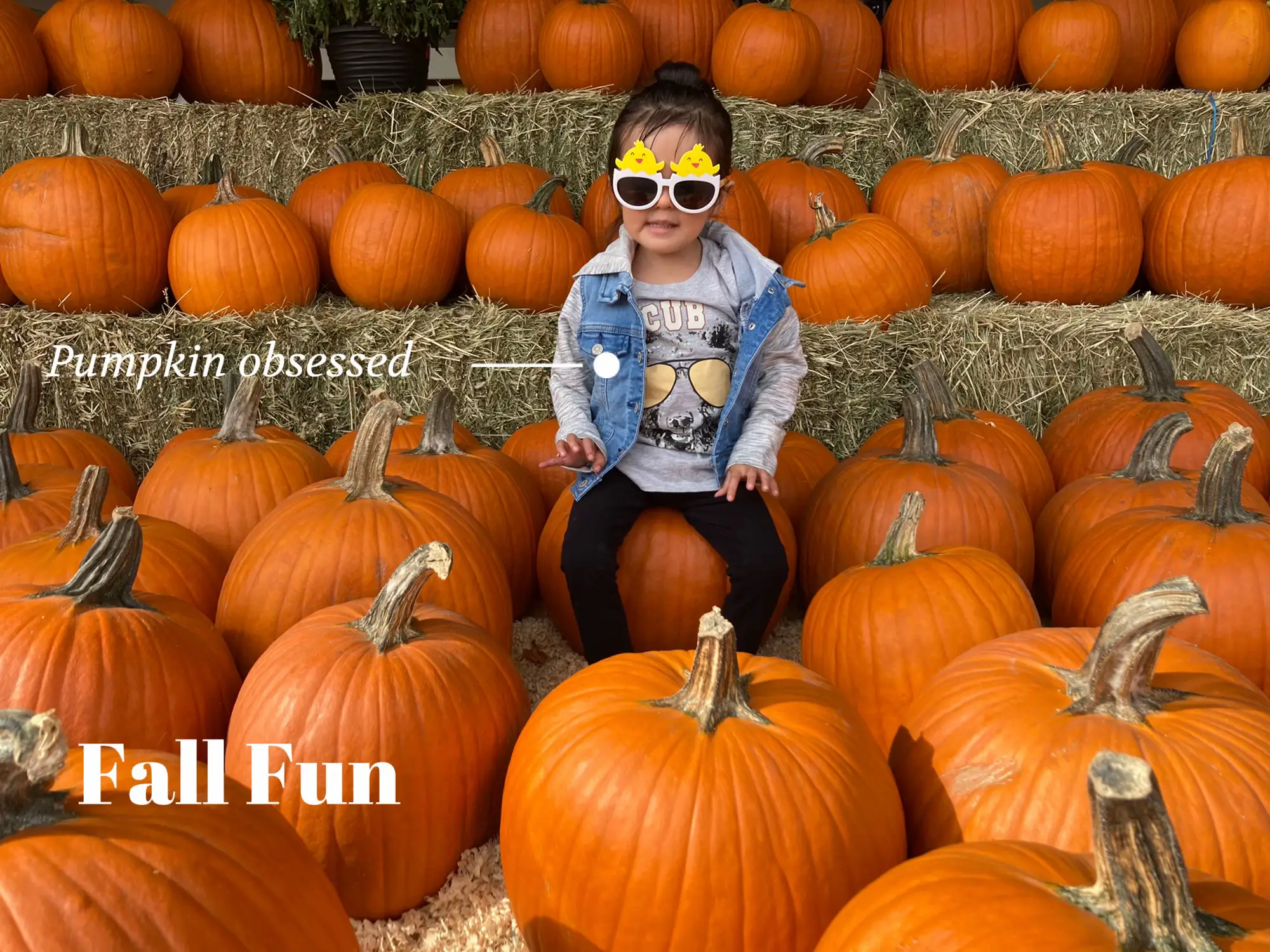 Fall Fun | Gallery posted by AngelaVLife | Lemon8