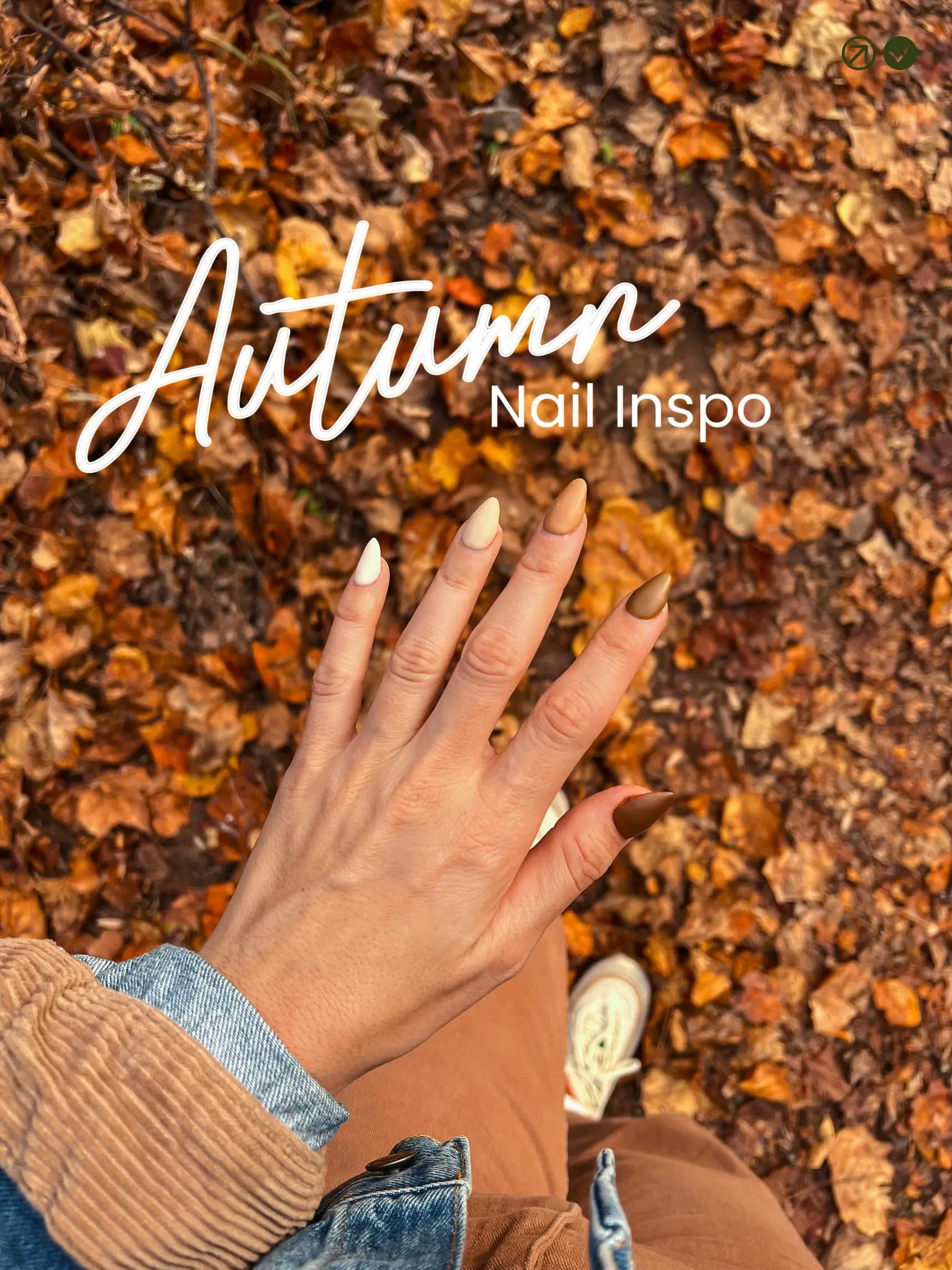 Autumn Nail Inspo 💅🏽🍁🍂 | แกลเลอรีที่โพสต์โดย Alana Reina | Lemon8