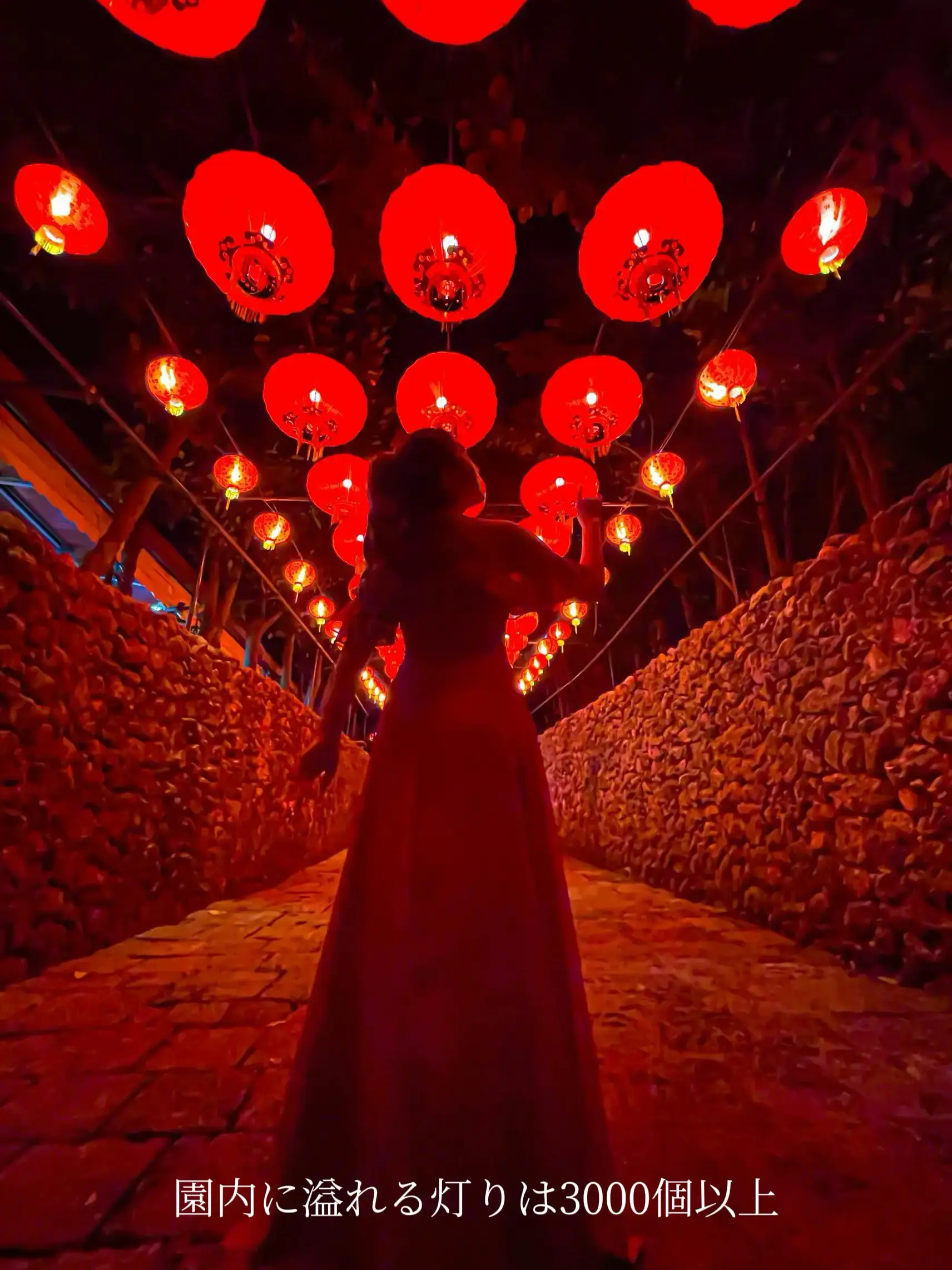 🏮มันเหมือนโลกของ "วิญญาณออกไป"! "เทศกาลโคมไฟ Murasaki Mura Ryukyu 2024" จัดขึ้น 🏮 | แกลเลอรีที่ ...