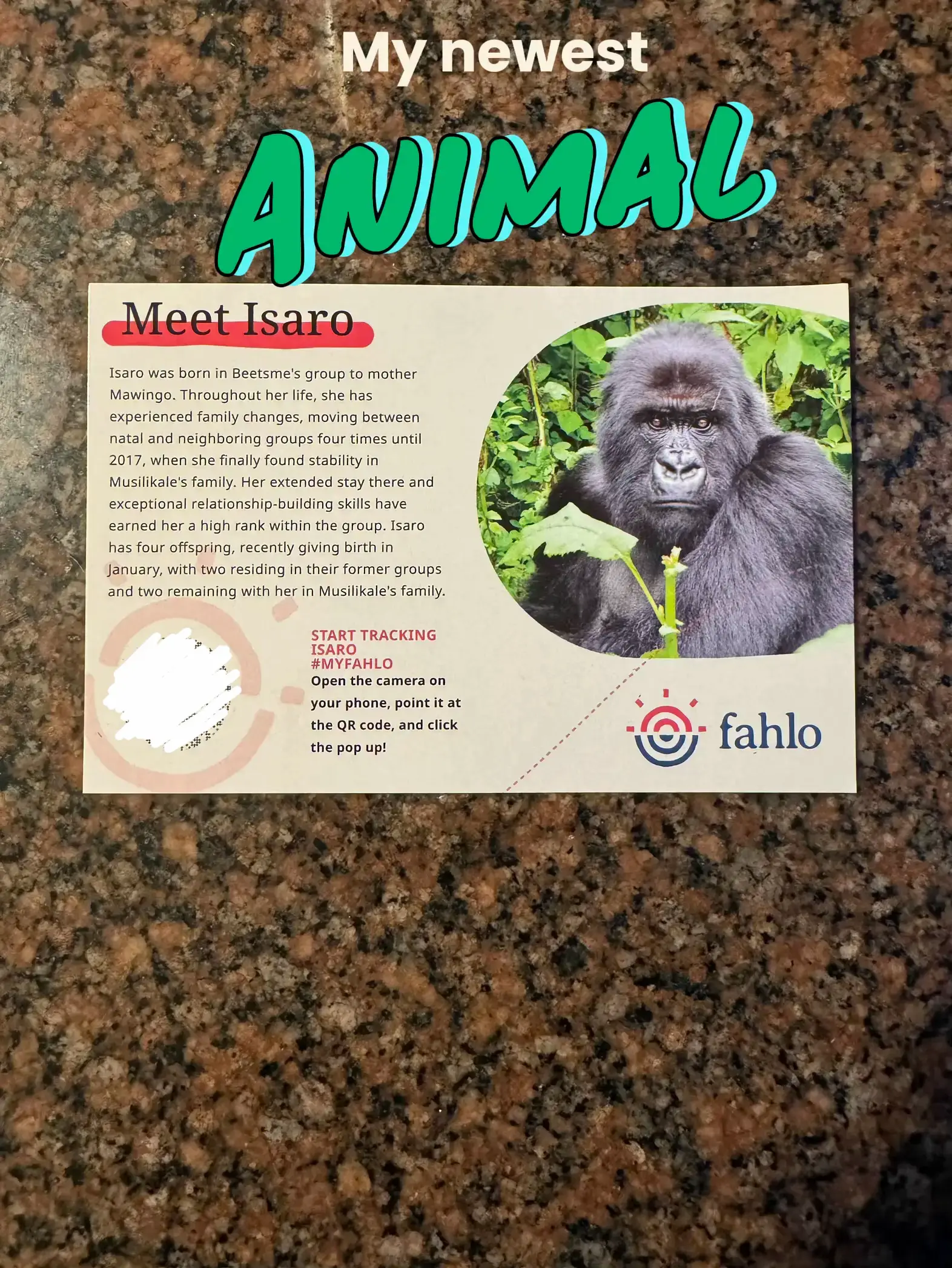 Fahlo bracelets | Gallery posted by Raven 🧿 | Lemon8