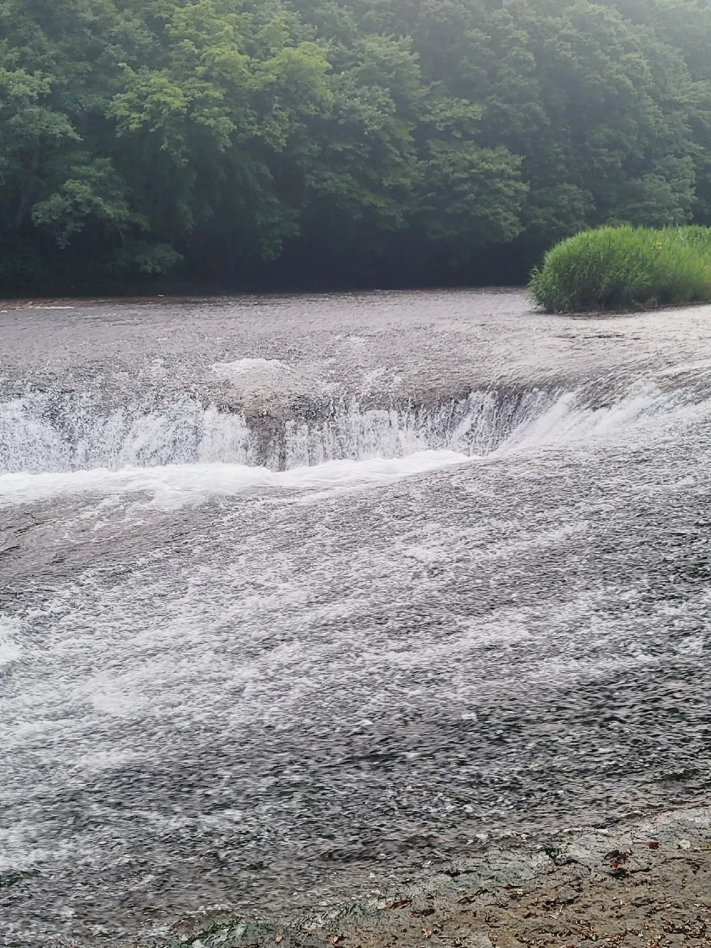 [Gunma Light] สาขาทากิ R5.7 / 29😳 | แกลเลอรีที่โพสต์โดย もも | Lemon8