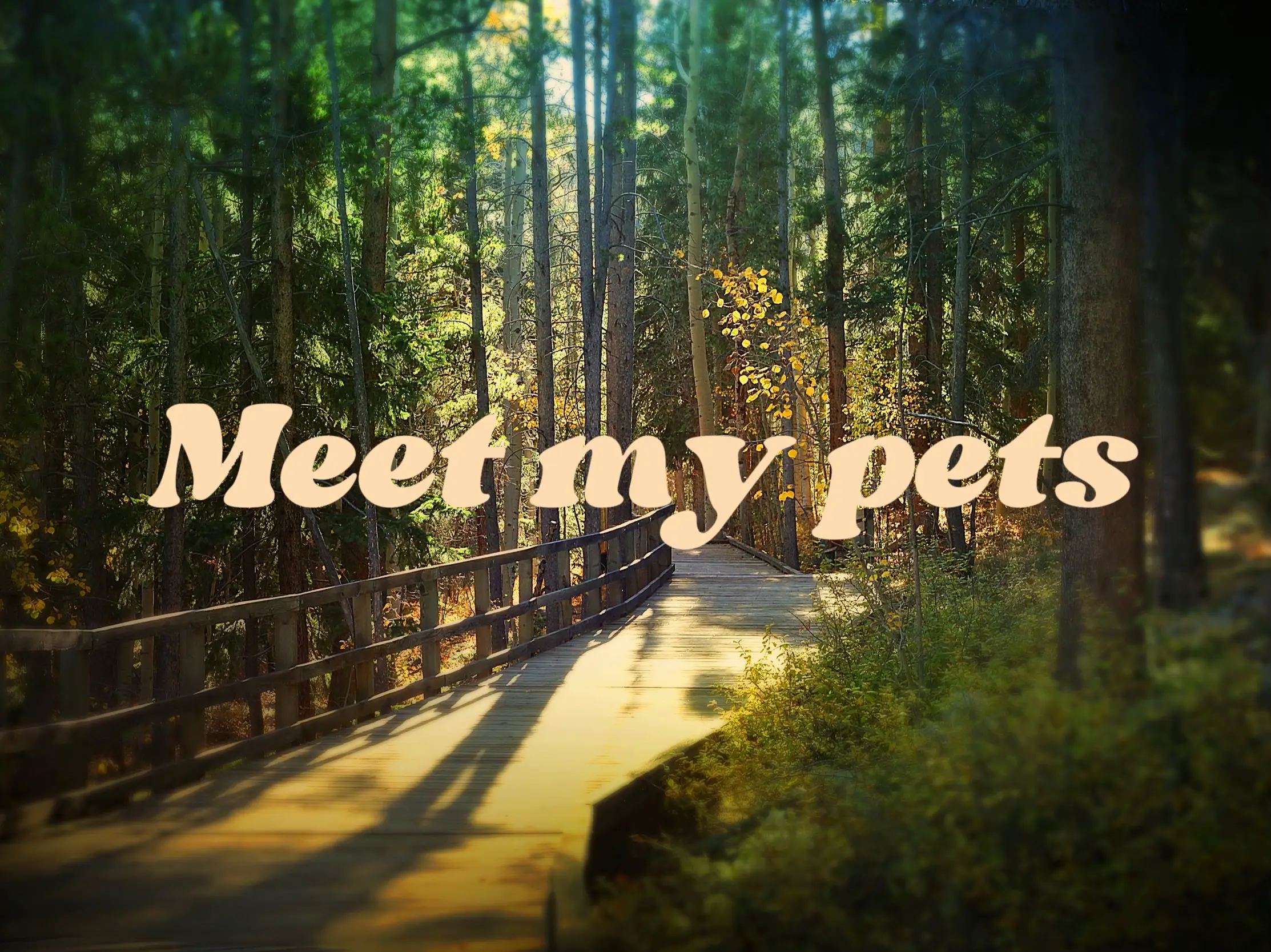 Meet my pets | แกลเลอรีที่โพสต์โดย NikoShrieks | Lemon8