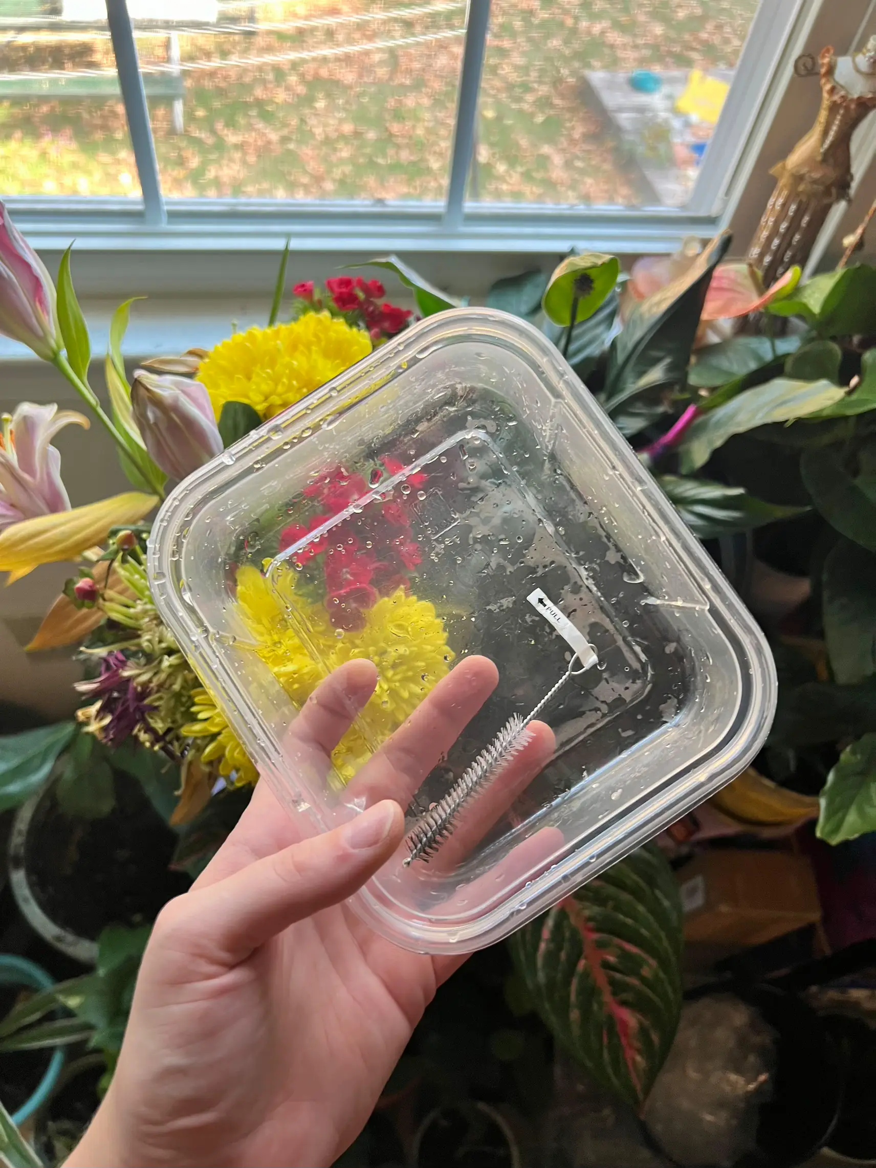 🪞How I Keep Glass Crystal Clear!! | daniisanが投稿したフォトブック | Lemon8