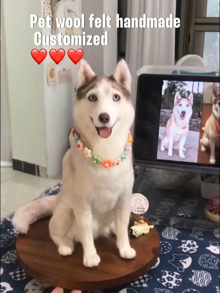 Pet wool felt handmade Customized ️ ️ ️ | Video published by ...