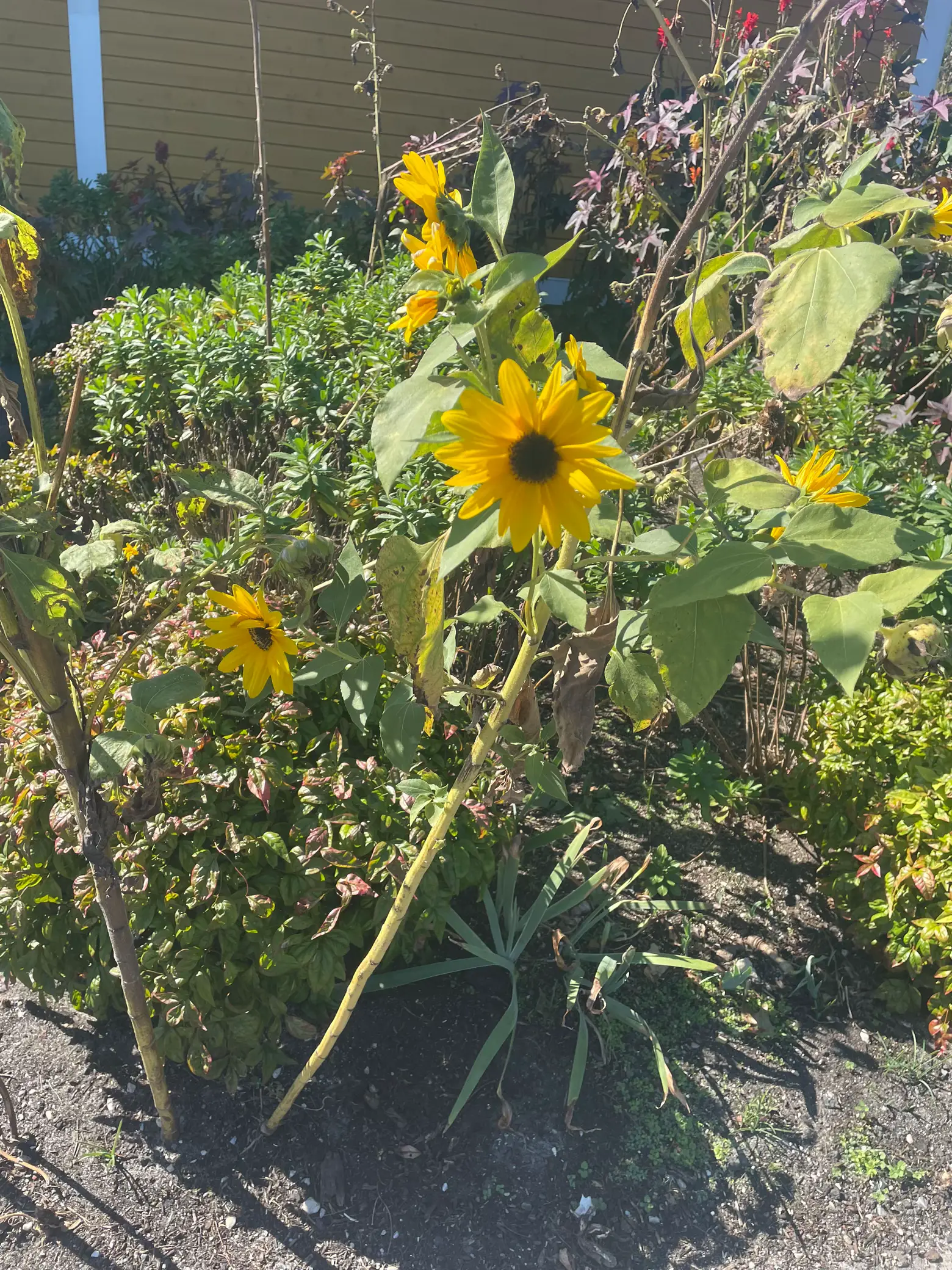 Cape May Day 2 | Gallery posted by Rachel Schenck | Lemon8