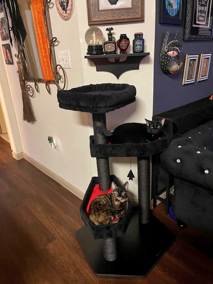 Send this to goth lovers around you | Gallery posted by Happy&Polly ...