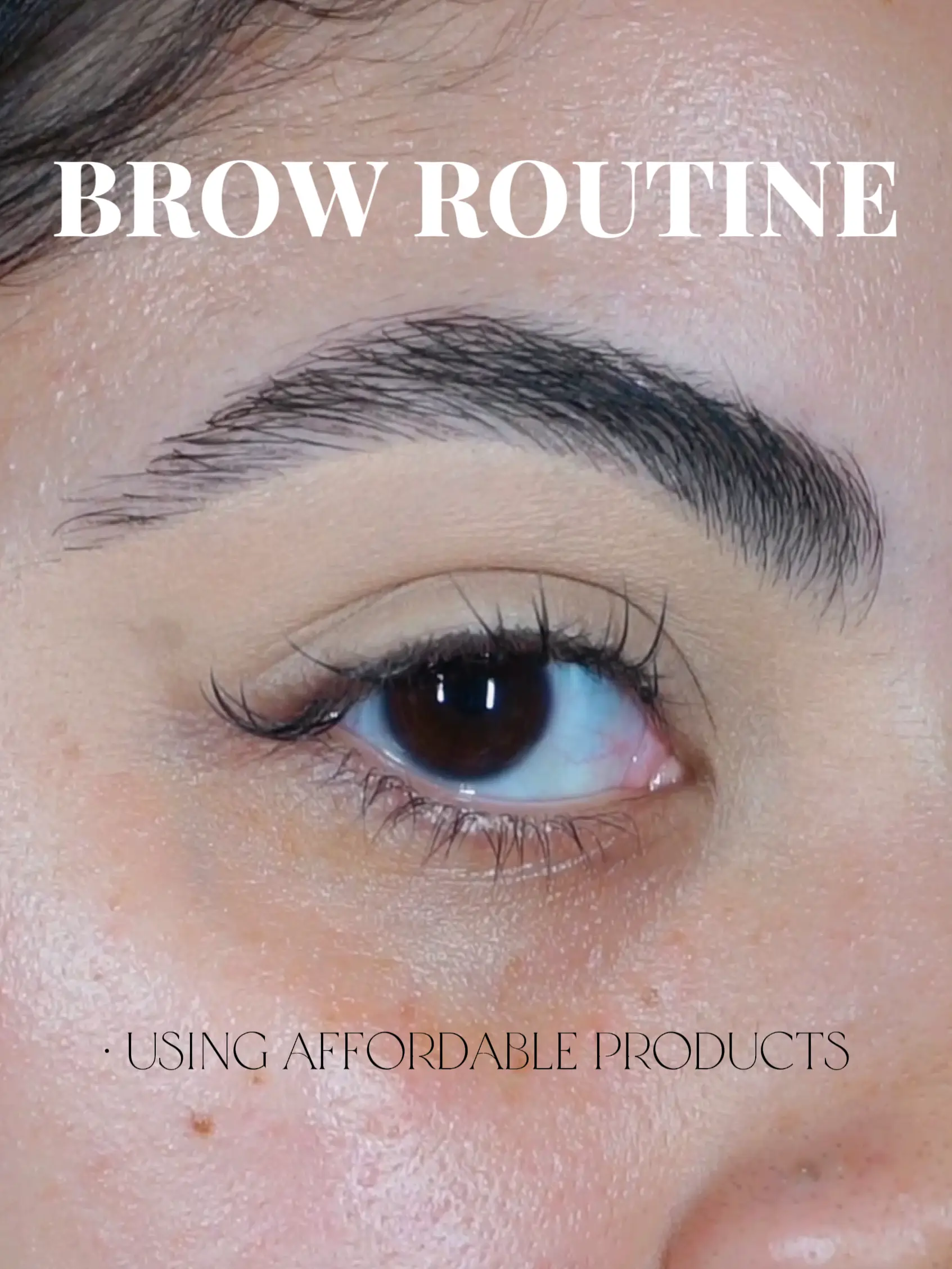 EYEBROW ROUTINE 🤎 | Video published by Mylee 🌸 | Lemon8