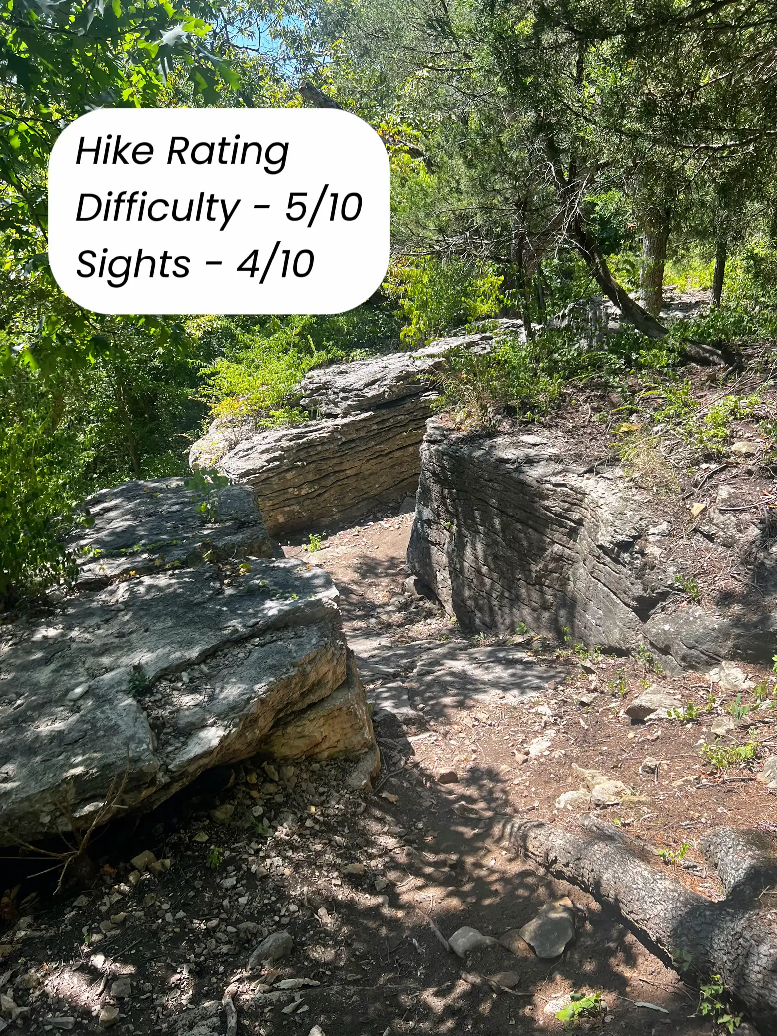 COME ON A HIKE with me!🥾🌳 | Gallery posted by Hailey Smith | Lemon8