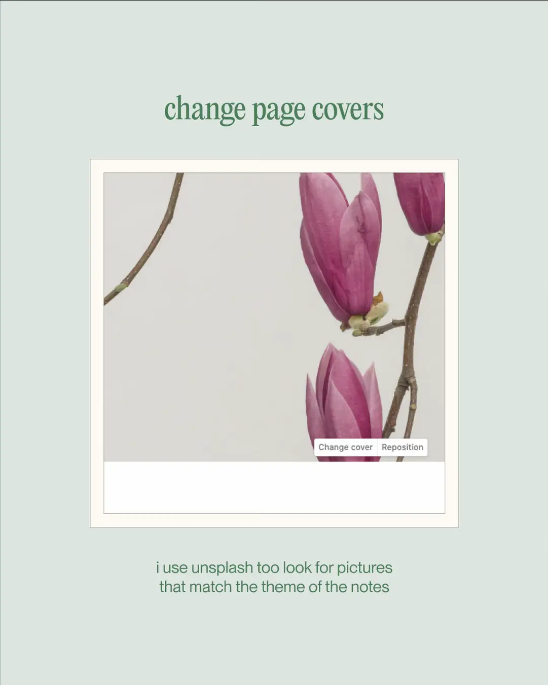 hot girl notion customization (easy) | Gallery posted by steph designs ...