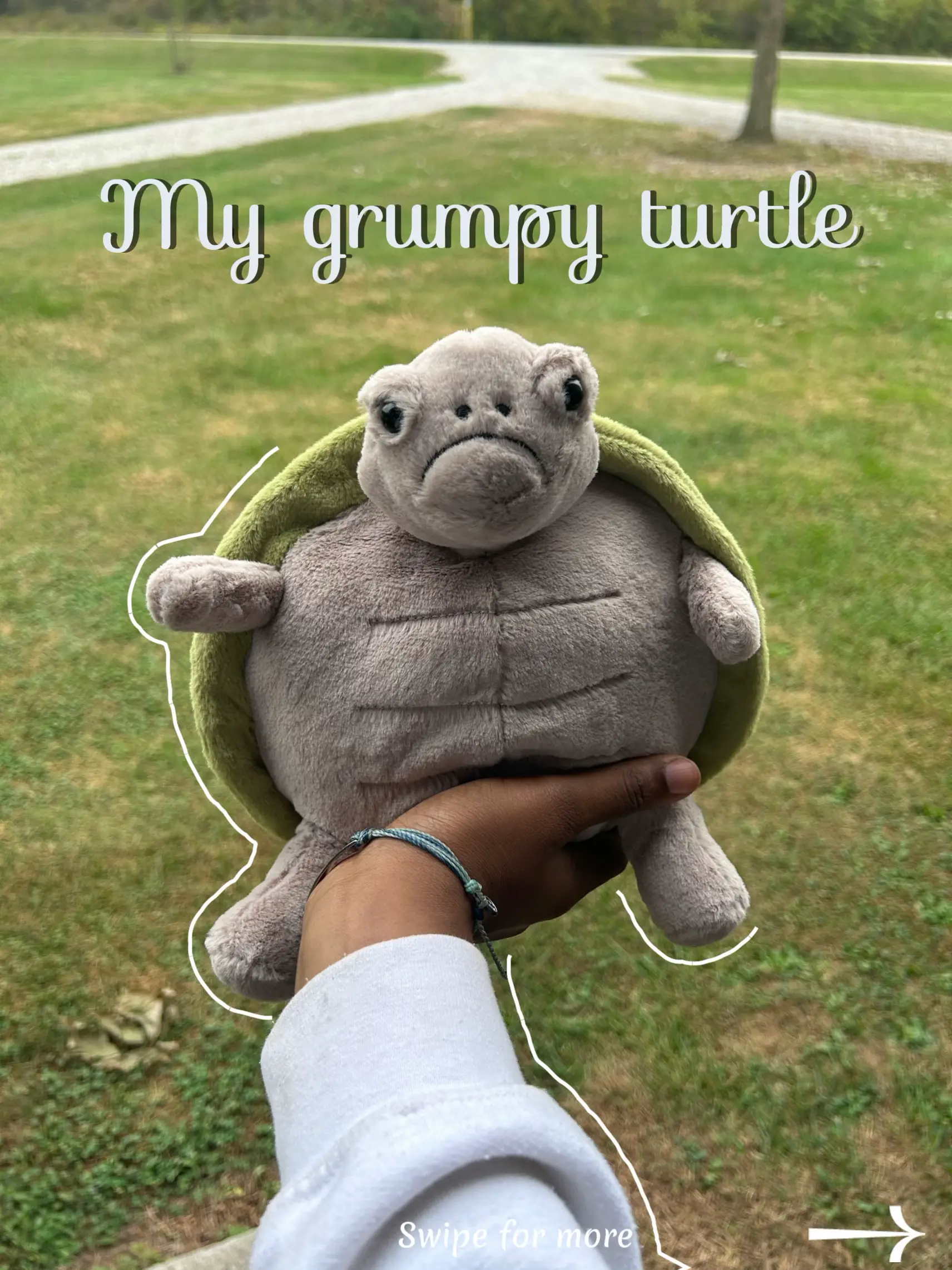 My grumpy turtle | Gallery posted by LifeasKenya | Lemon8