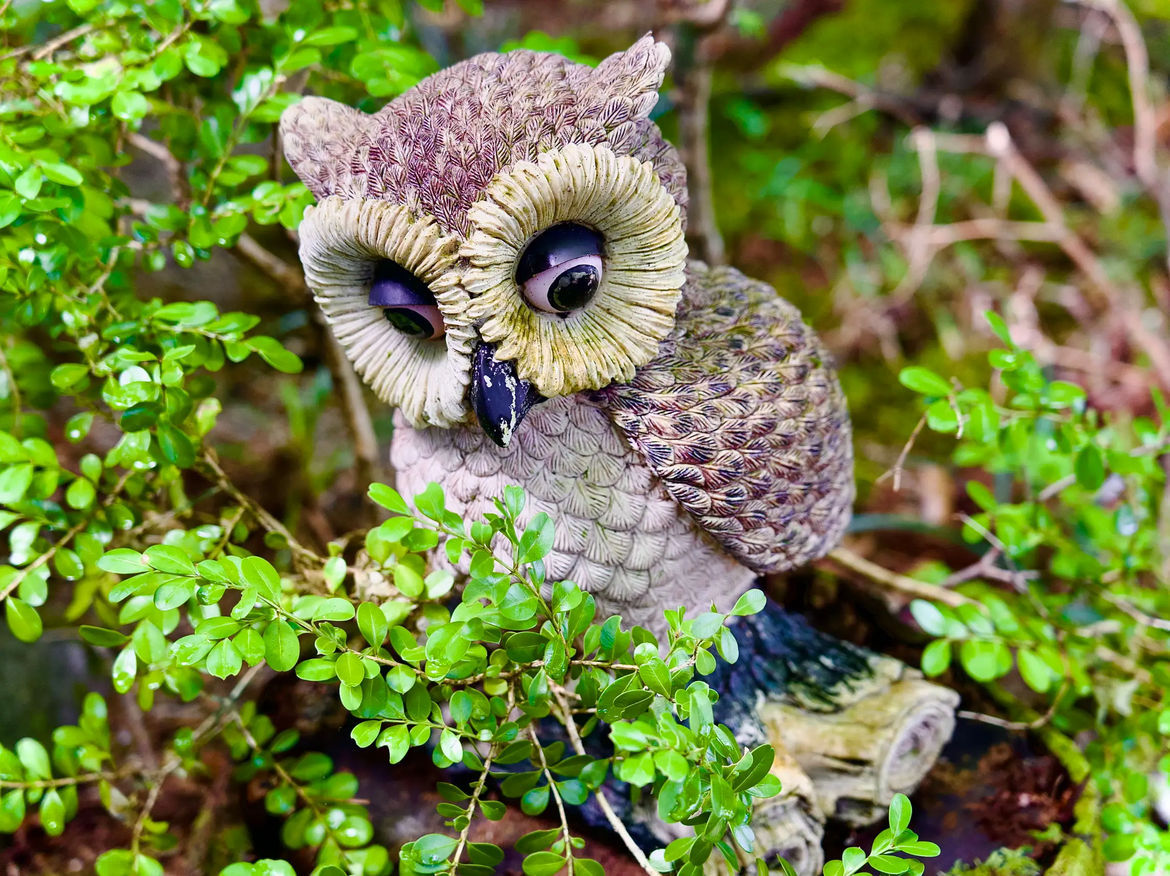 วัดอายุยืน สมบัติแห่งชาติซานซาน หูหนาน | แกลเลอรีที่โพสต์โดย kyoto_ken | Lemon8