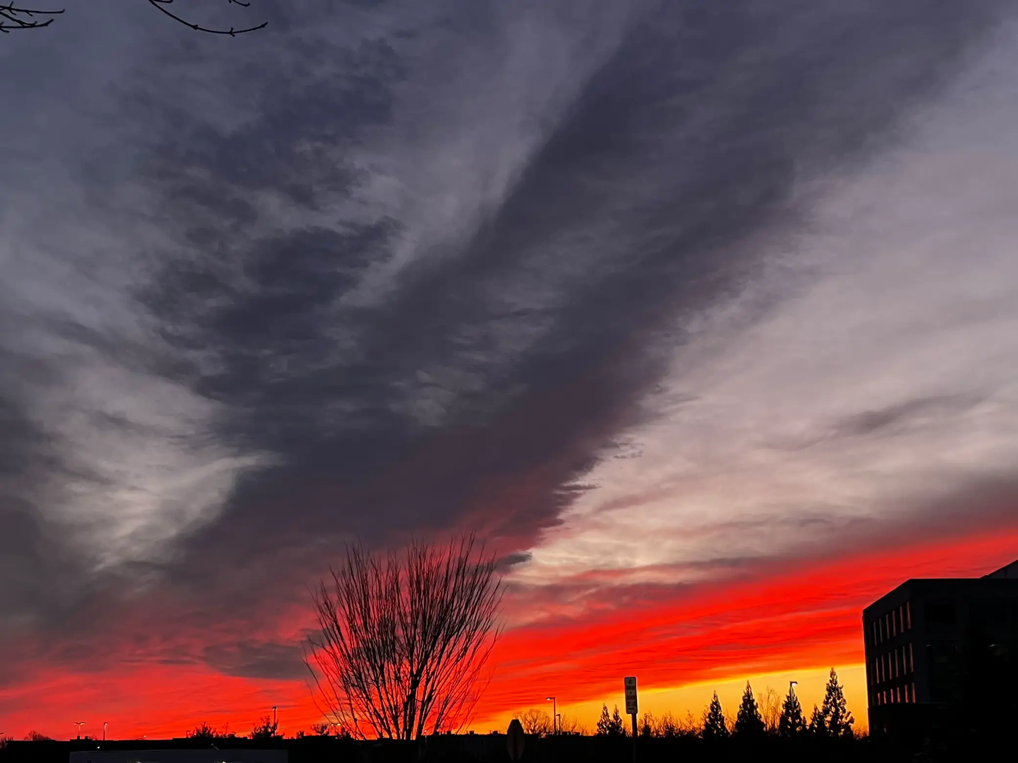 Chantilly.. | Gallery posted by Juan Wild | Lemon8