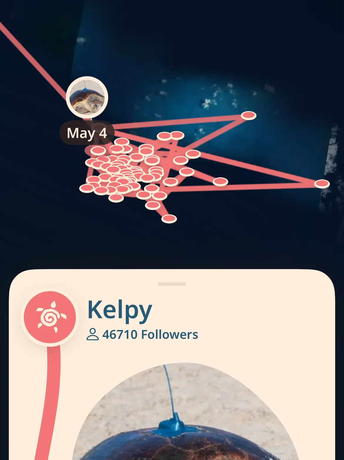 The Fahlo Bracelets & animals I got | Gallery posted by Jovilynn1 | Lemon8