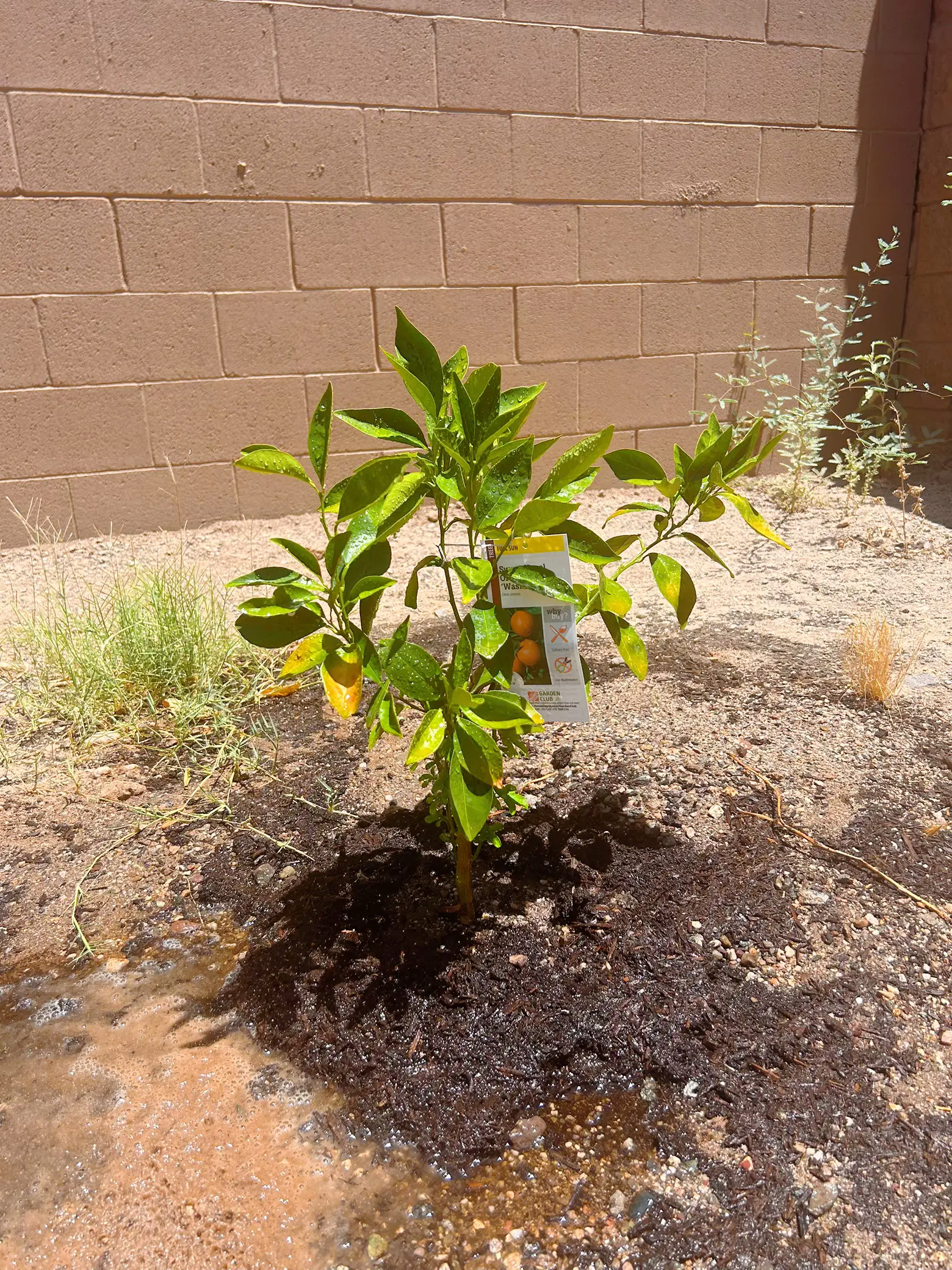 WEEKEND HANGOUT | แกลเลอรีที่โพสต์โดย Arie_zona | Lemon8