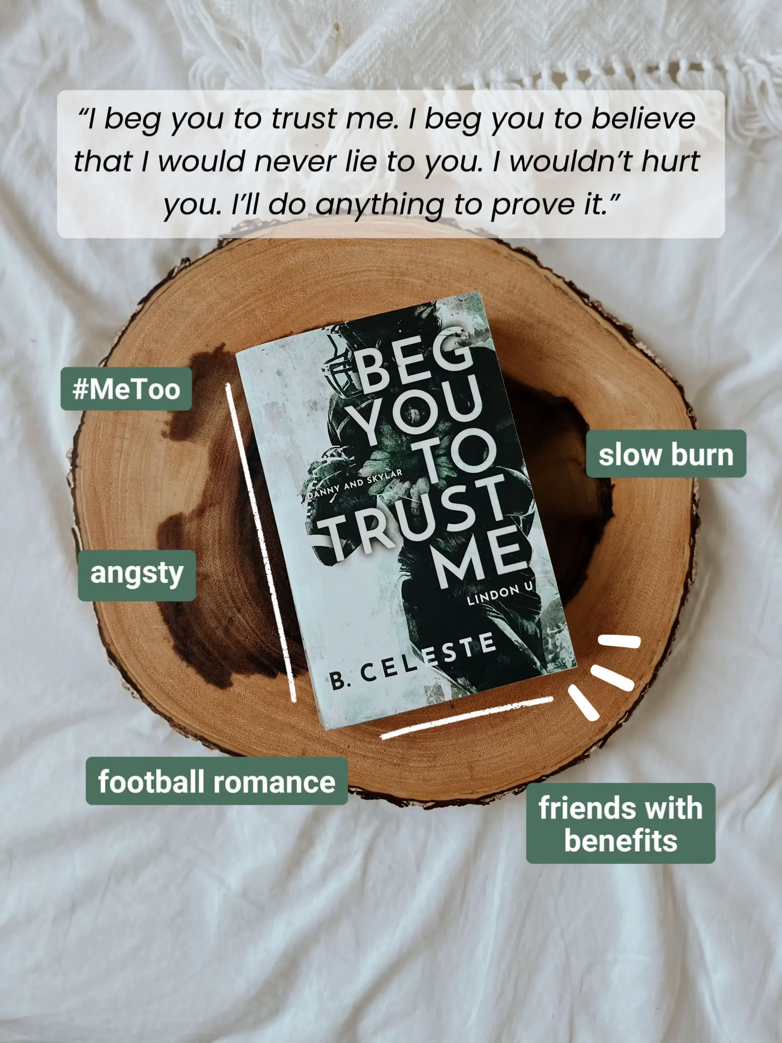 Series In My TBR: Lindon U 🏈 | Gallery posted by Genesis | Lemon8