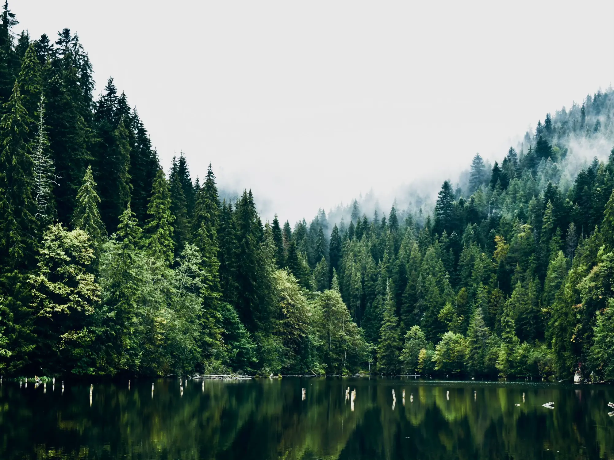 Pictures of Mountains 🎶 | แกลเลอรีที่โพสต์โดย Misty Jo | Lemon8