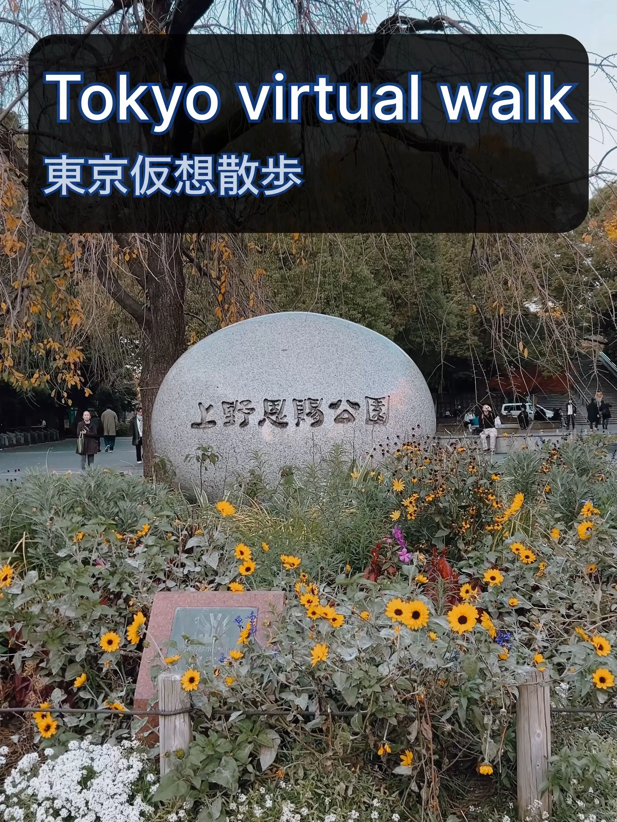 Tokyo Virtual Walk ~ Ueno Gift Park | วิดีโอที่เผยแพร่โดย WAGNAS 副長 ...
