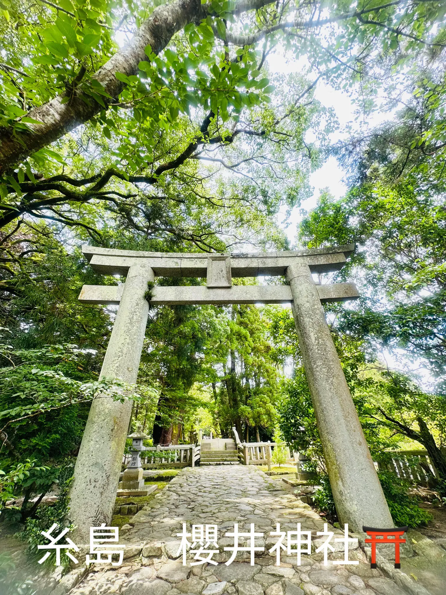 ศาลเจ้า Itoshima Sakurai⛩️ศาลเจ้า Sakurai Grand | แกลเลอรีที่โพสต์โดย ☆MARI ☆ | Lemon8