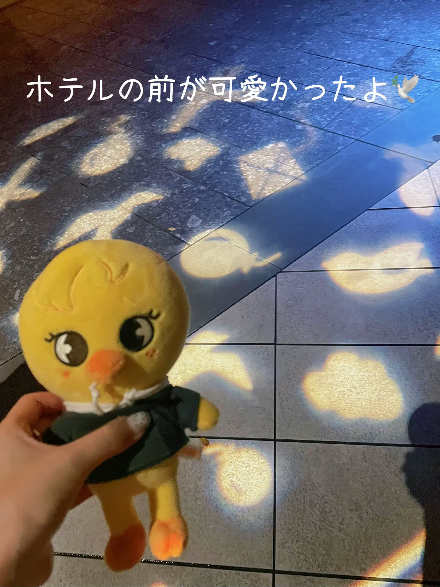 แสดง! แกนเพลงในญี่ปุ่น | แกลเลอรีที่โพสต์โดย YuRi | Lemon8