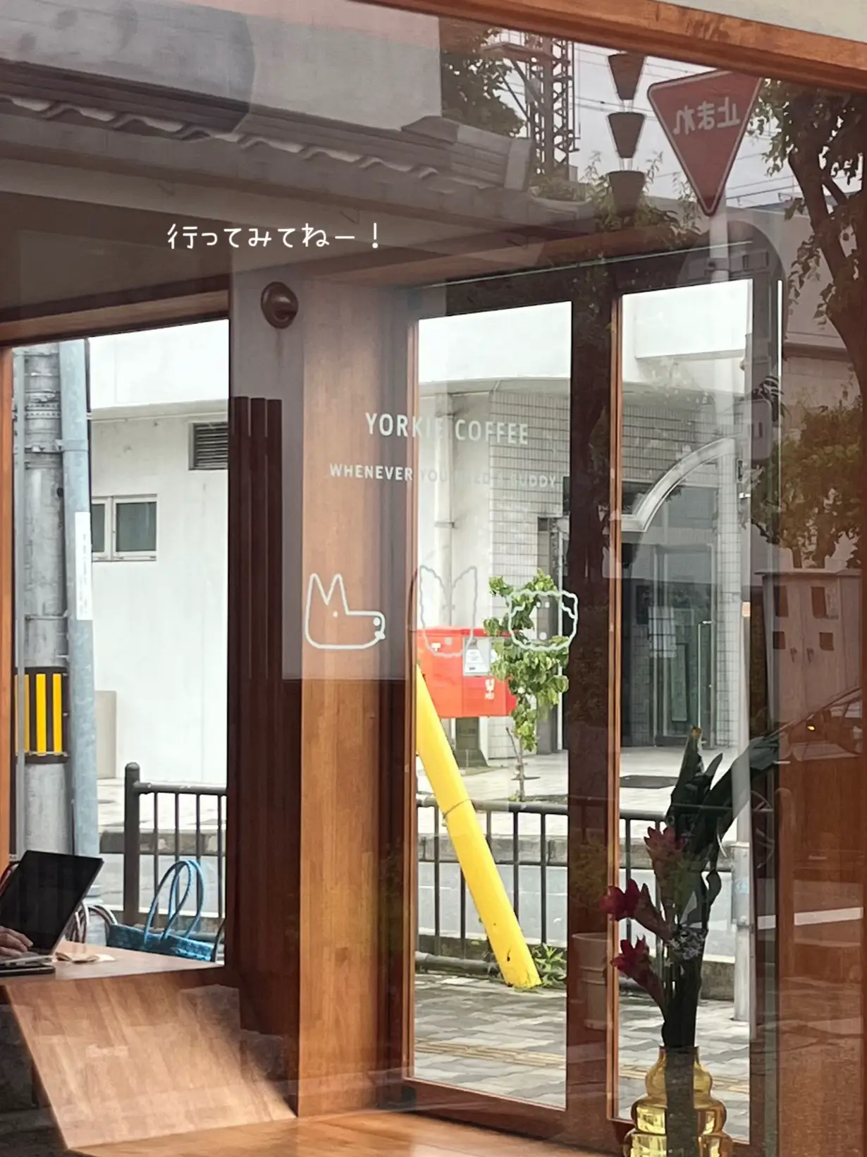 大阪、枚方にあるペットOKのウッド調カフェ ☕️ YORKIE COFFEE | 𝘏𝘈𝘙𝘜𝘕𝘈が投稿したフォトブック | Lemon8