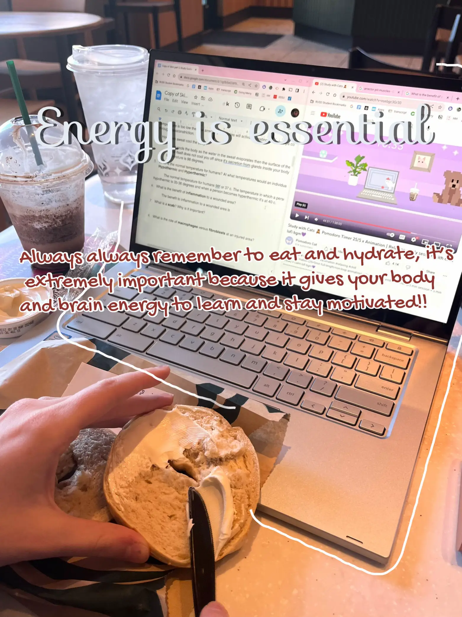 Study with Skz - Lemon8 Search