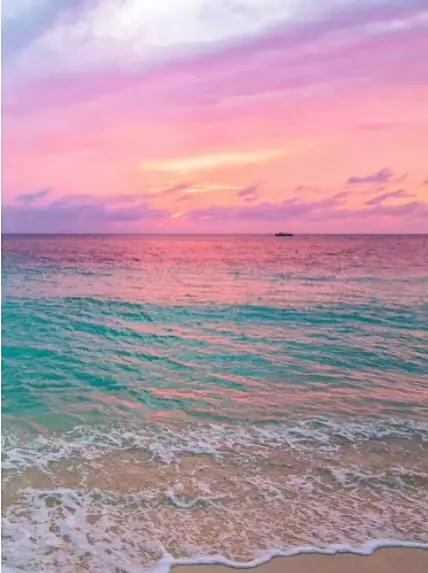 Beachy wallpapers 🌸👙🌊🐚☀️ | Gallery posted by Frankie🌊👙💗☀️ | Lemon8