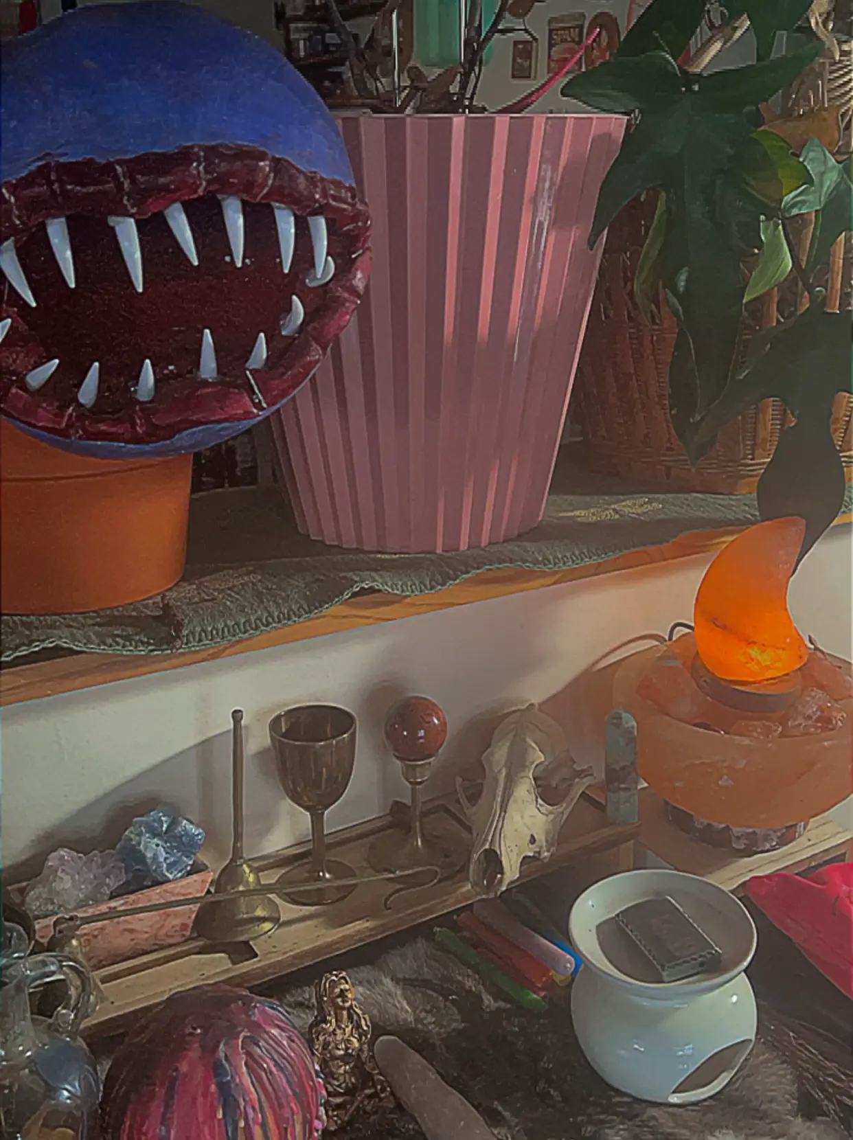 cluttercore home | Gallery posted by sage moss | Lemon8
