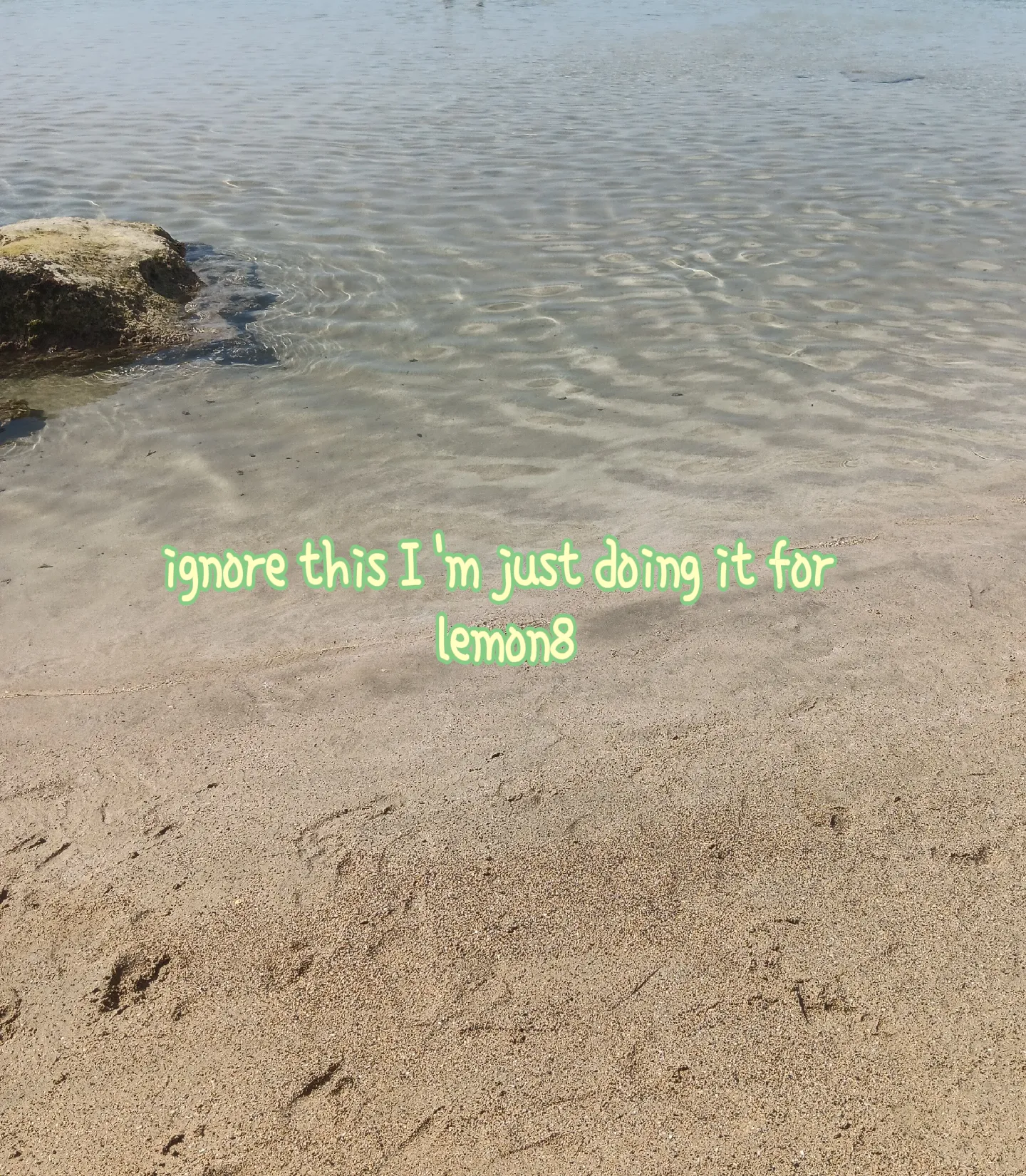 ignore this I'm just doing it for lemon8 | แกลเลอรีที่โพสต์โดย Koy koy | Lemon8