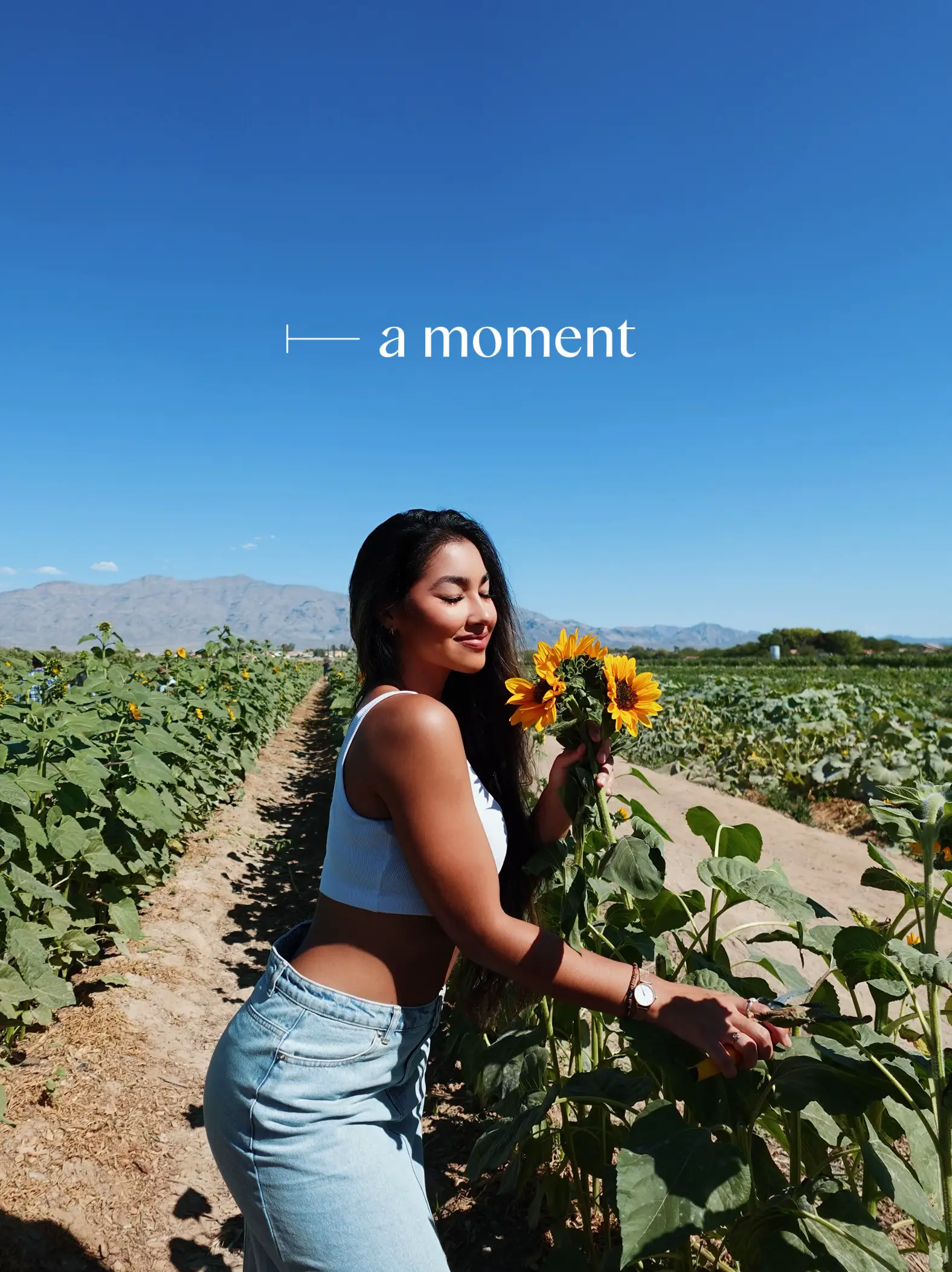 PHOTO DUMP IDEAS | Gallery posted by Jasmine Aragon | Lemon8