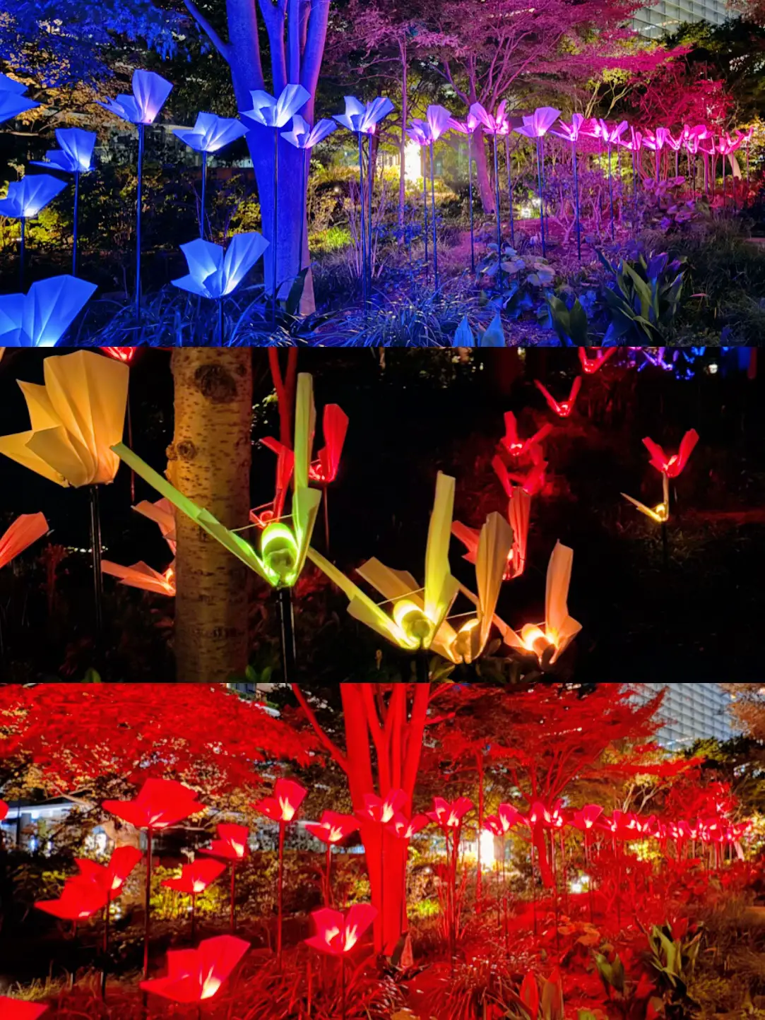 【アート】この冬行きたい！虎ノ門ヒルズでライトアートを楽しむイベント🌃 | aynaa｜旅とグルメ👠が投稿したフォトブック | Lemon8