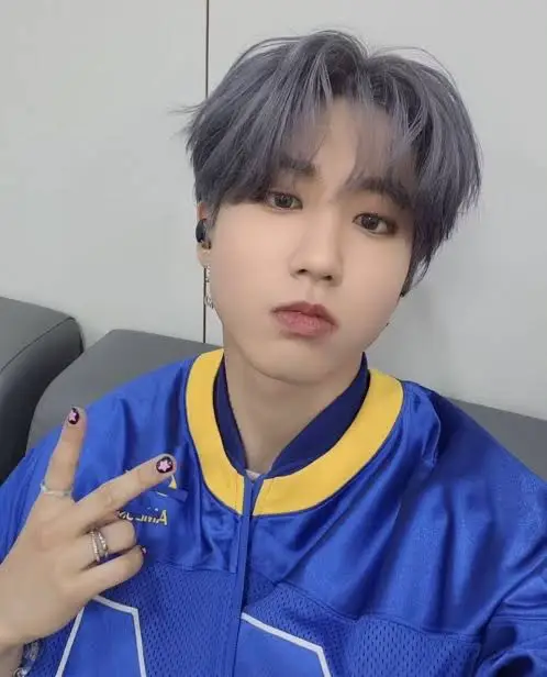 straykids ハン | なっちゃんKPOPが投稿したフォトブック | Lemon8