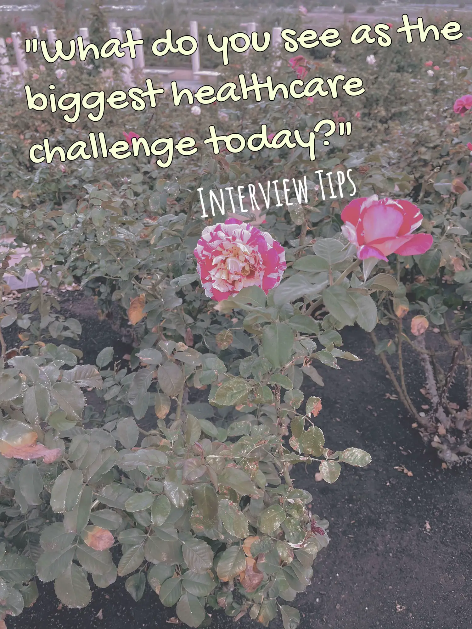 "What is the biggest healthcare challenge today?” | Gallery posted by Em Barnard, MD | Lemon8