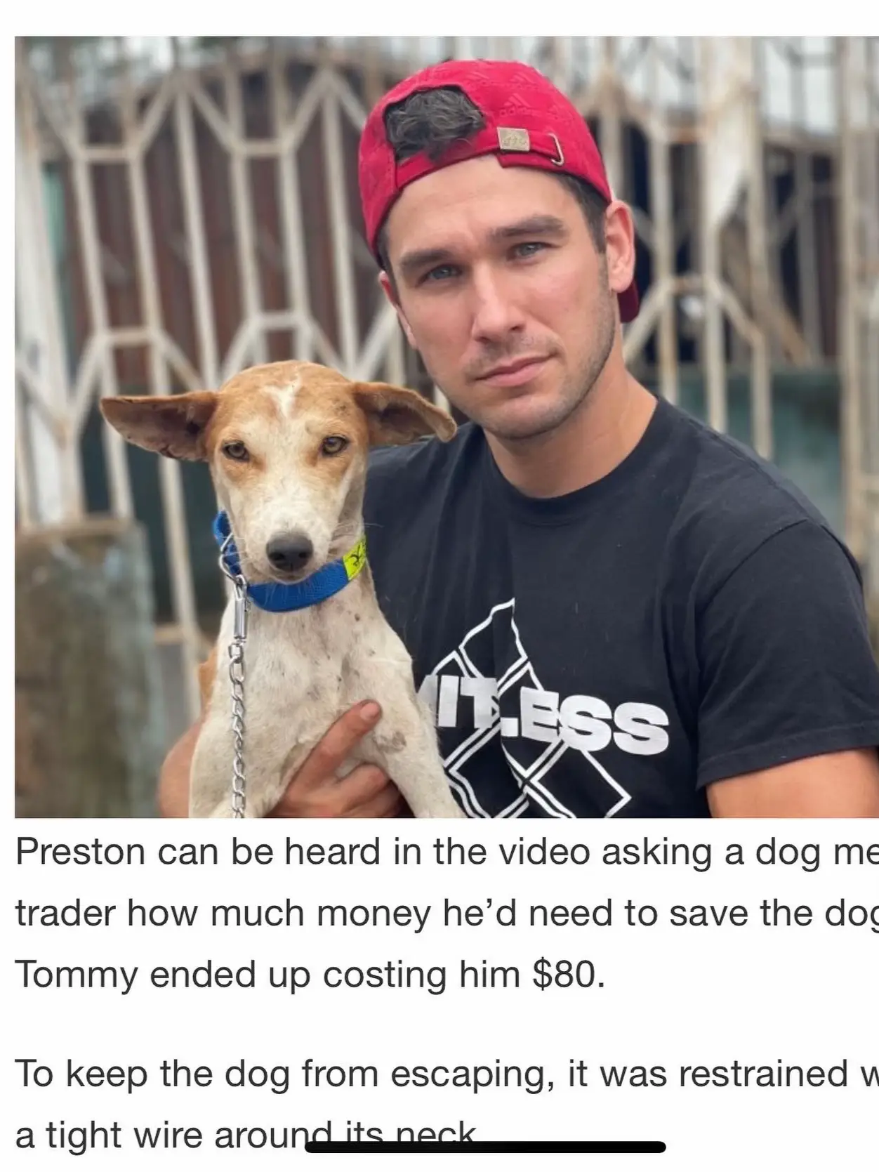 DOG SAVIOR RESCUES DOG MEAT SURVIVORS INDONESIA | Video published by DOG SAVIOR | Lemon8