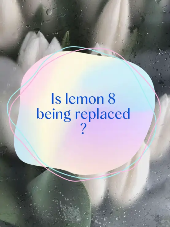 Lemon8 Web - Lemon8 Search