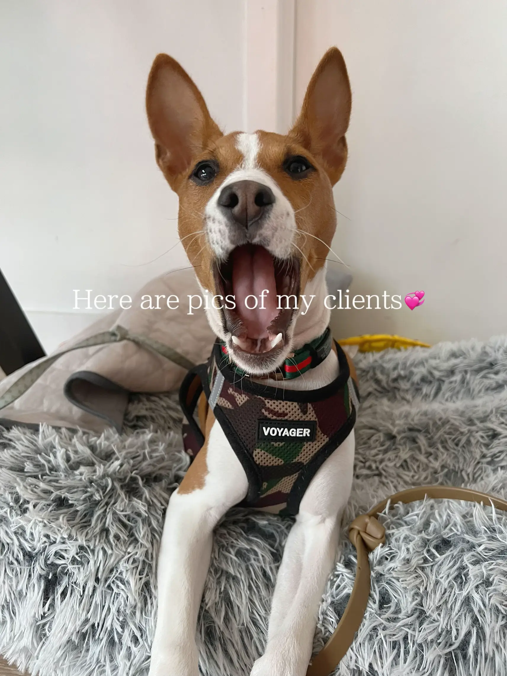 Fun easy job! | Gallery posted by Vane Cabrera | Lemon8