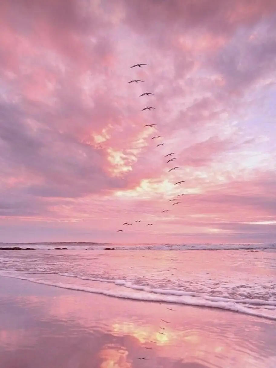 Random aesthetic things I fnd | แกลเลอรีที่โพสต์โดย Mango | Lemon8