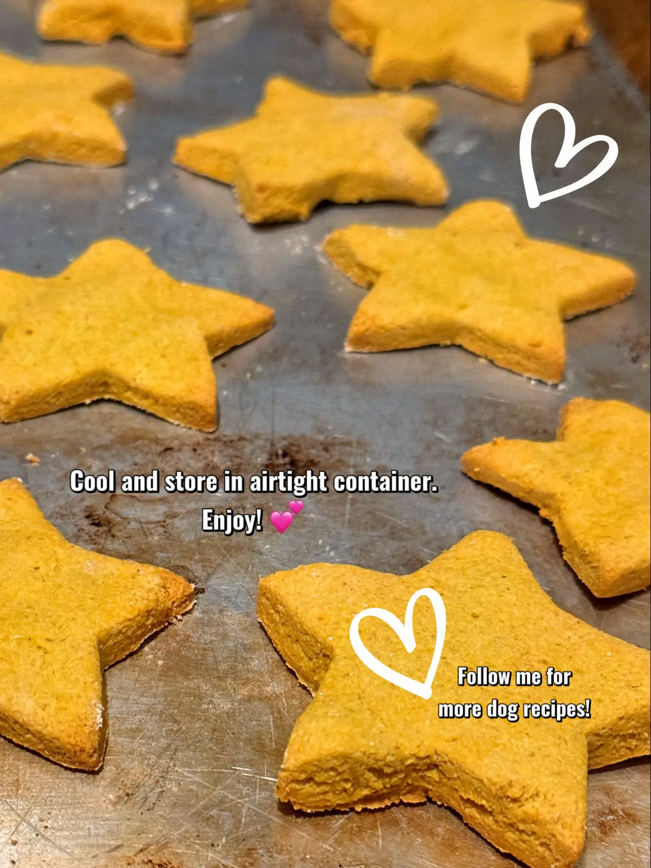 ️🎅CHRISTMAS COOKIES For Your DOG🐶🎄 | Gallery posted by Alex Powdrell ...