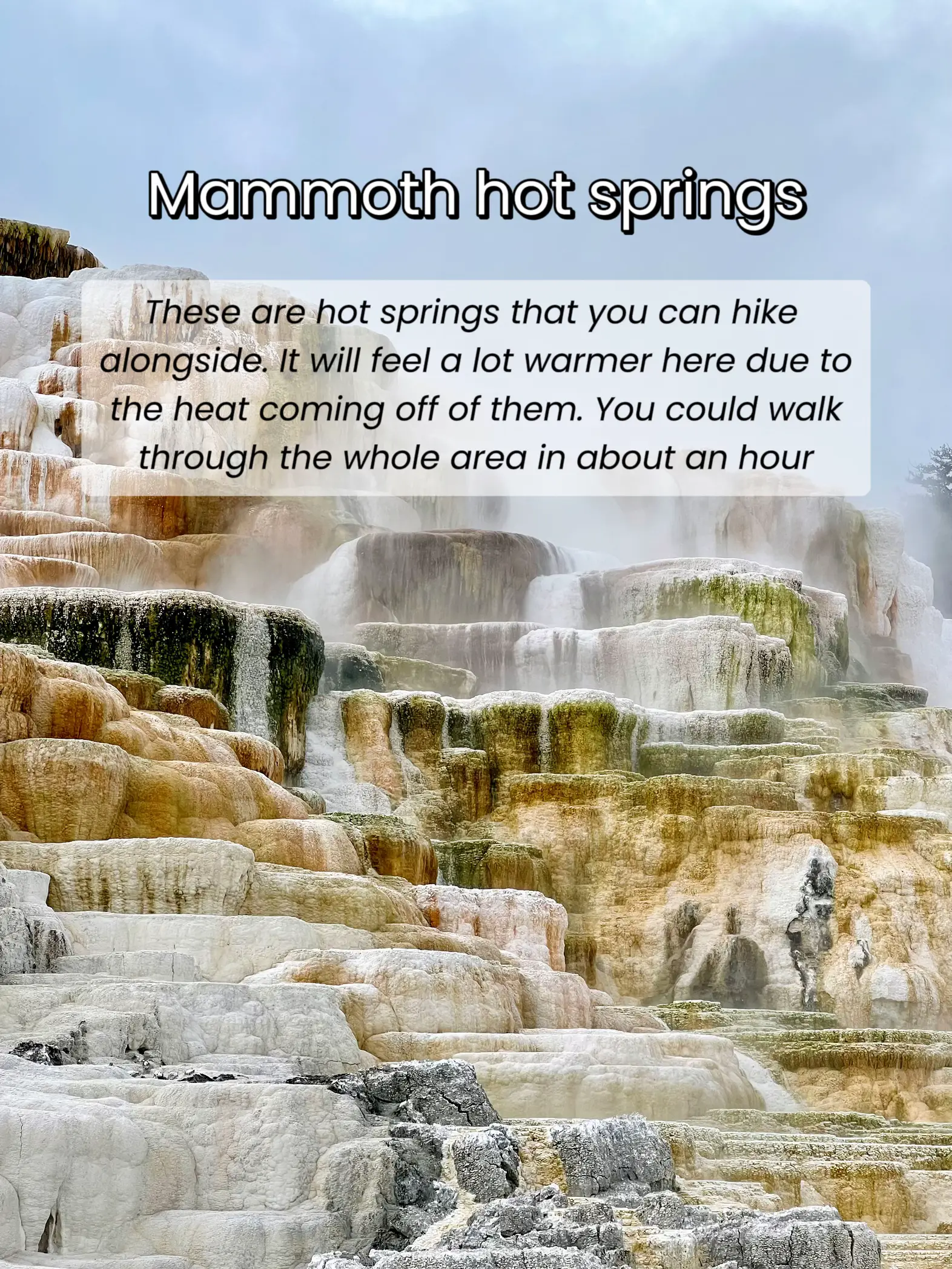 Yellowstone must-sees | แกลเลอรีที่โพสต์โดย Sarahhchia | Lemon8