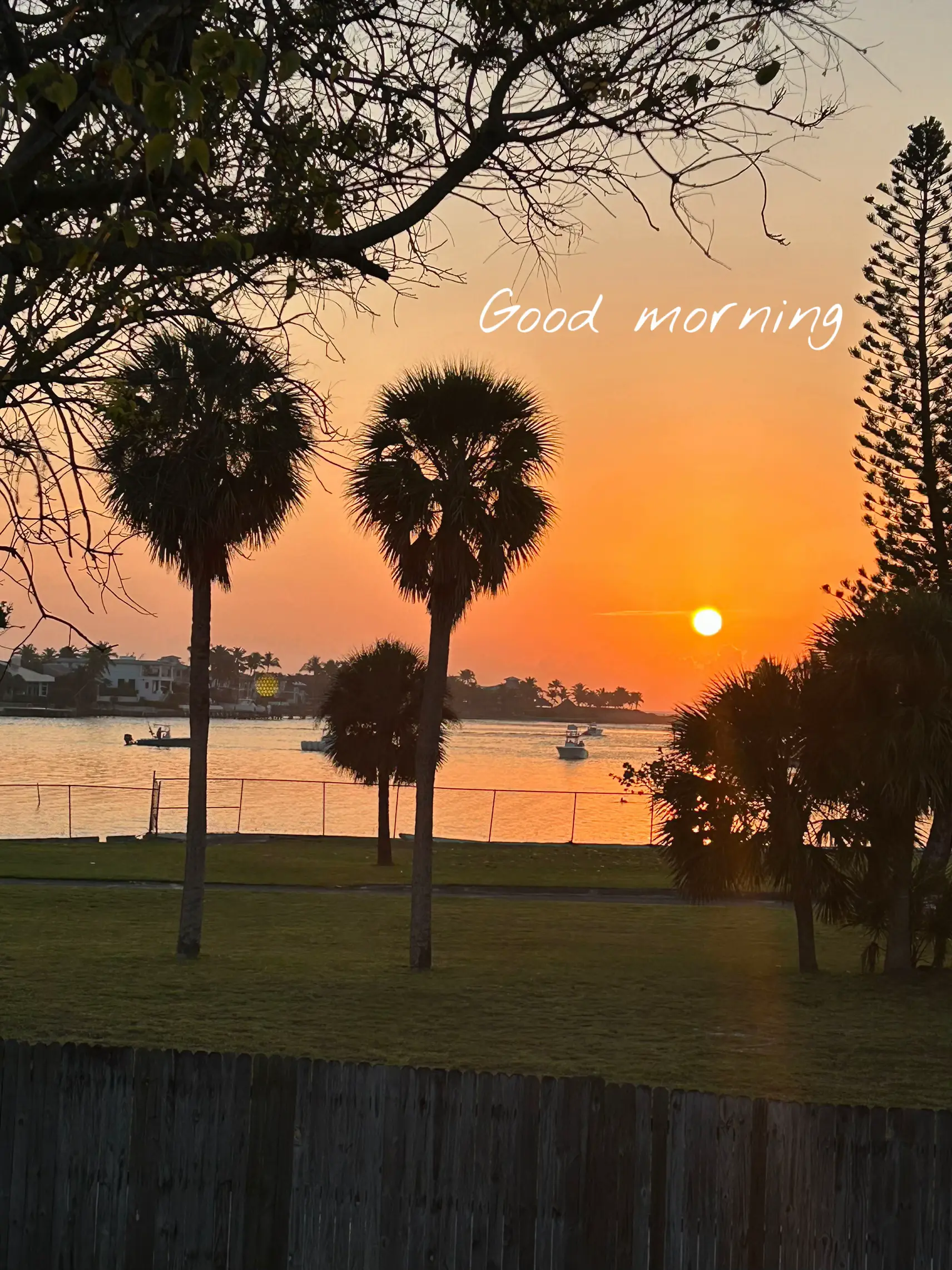 Good morning🌊💞🌴 | Gallery posted by Madison McClain | Lemon8