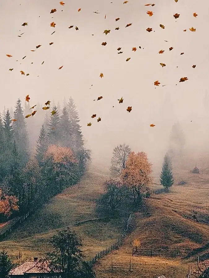 Aesthetic | แกลเลอรีที่โพสต์โดย Only_Sierra | Lemon8