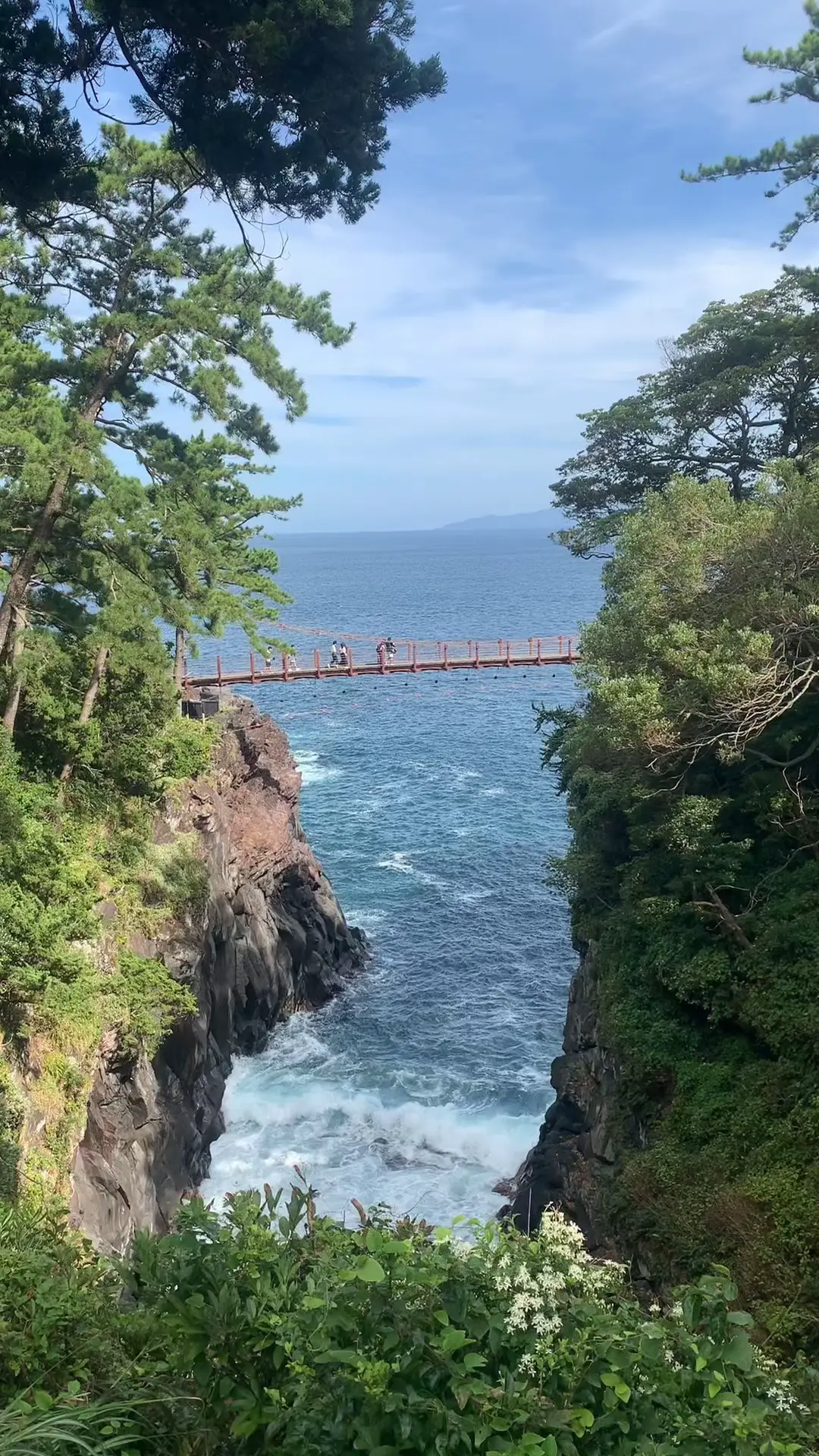 今年の夏☀️ | momoの投稿動画 | Lemon8