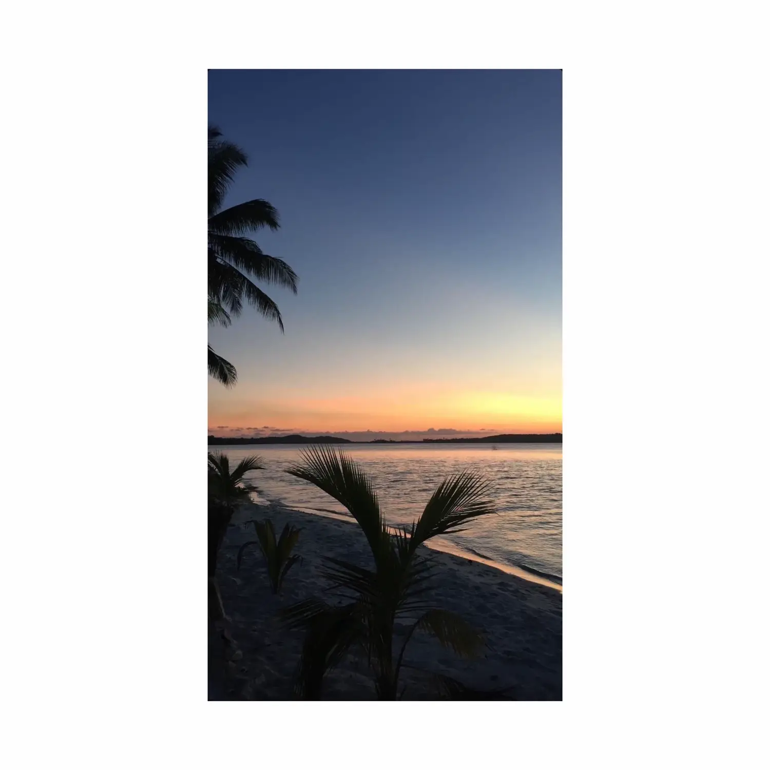 Beach Wallpaper Preppy - Lemon8 Search